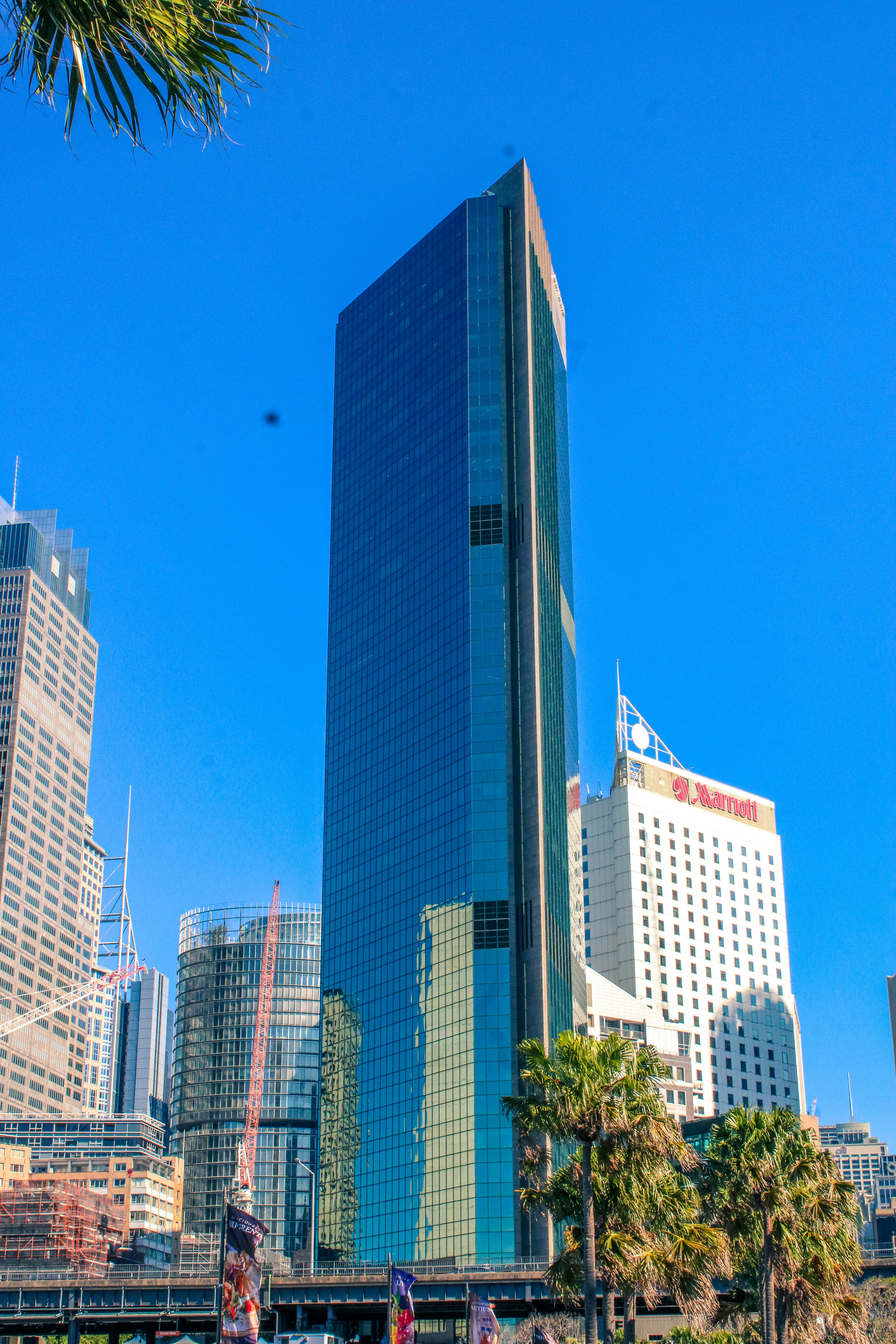 A sleek skyscraper towers against a clear blue sky, reflecting the surrounding cityscape and palm trees at its base.