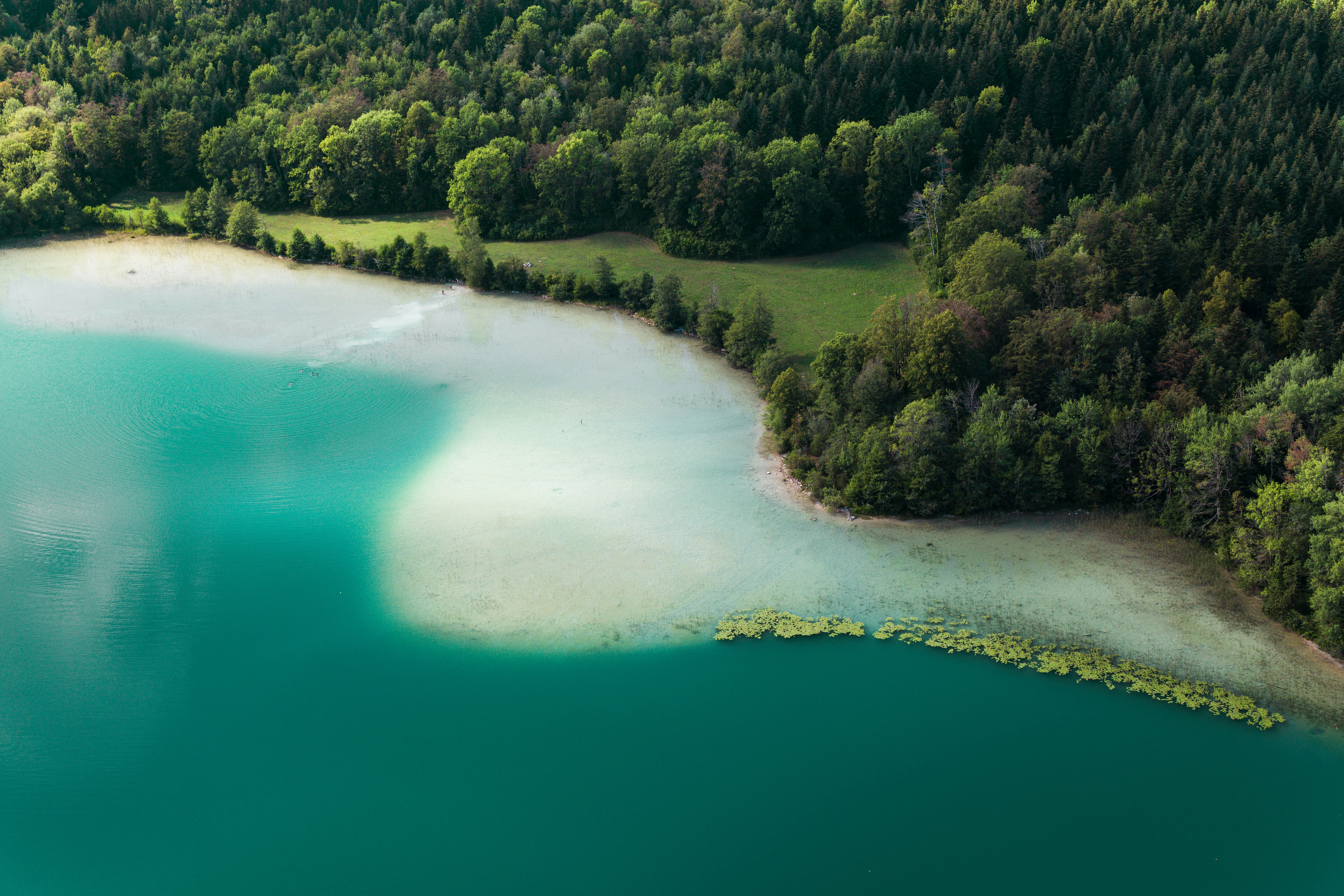 Aerial view of turquoise lake water meeting lush green forest along the shoreline.