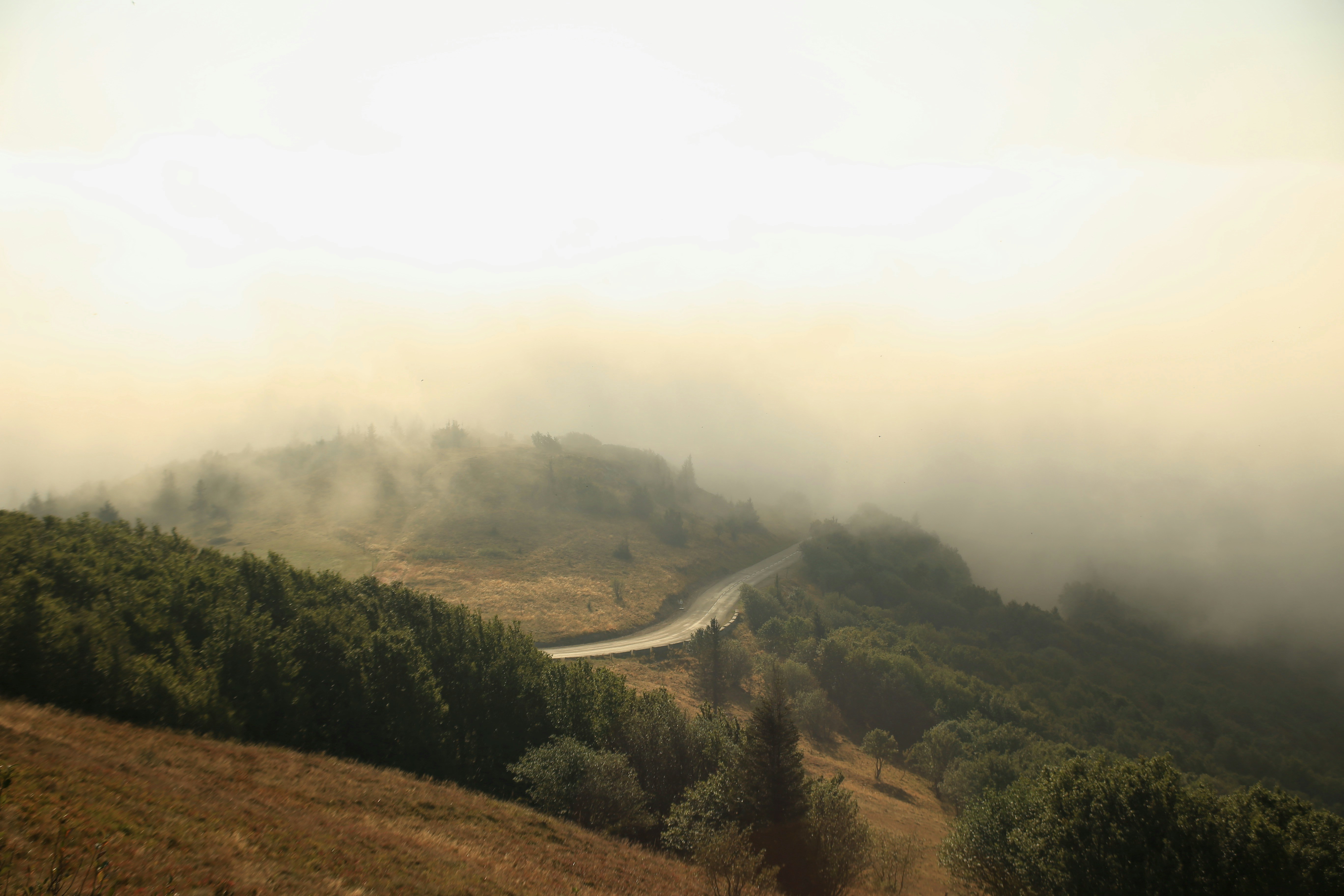 Mist-Laced Ridge Road: A Winding Drive Through Quiet Hills
