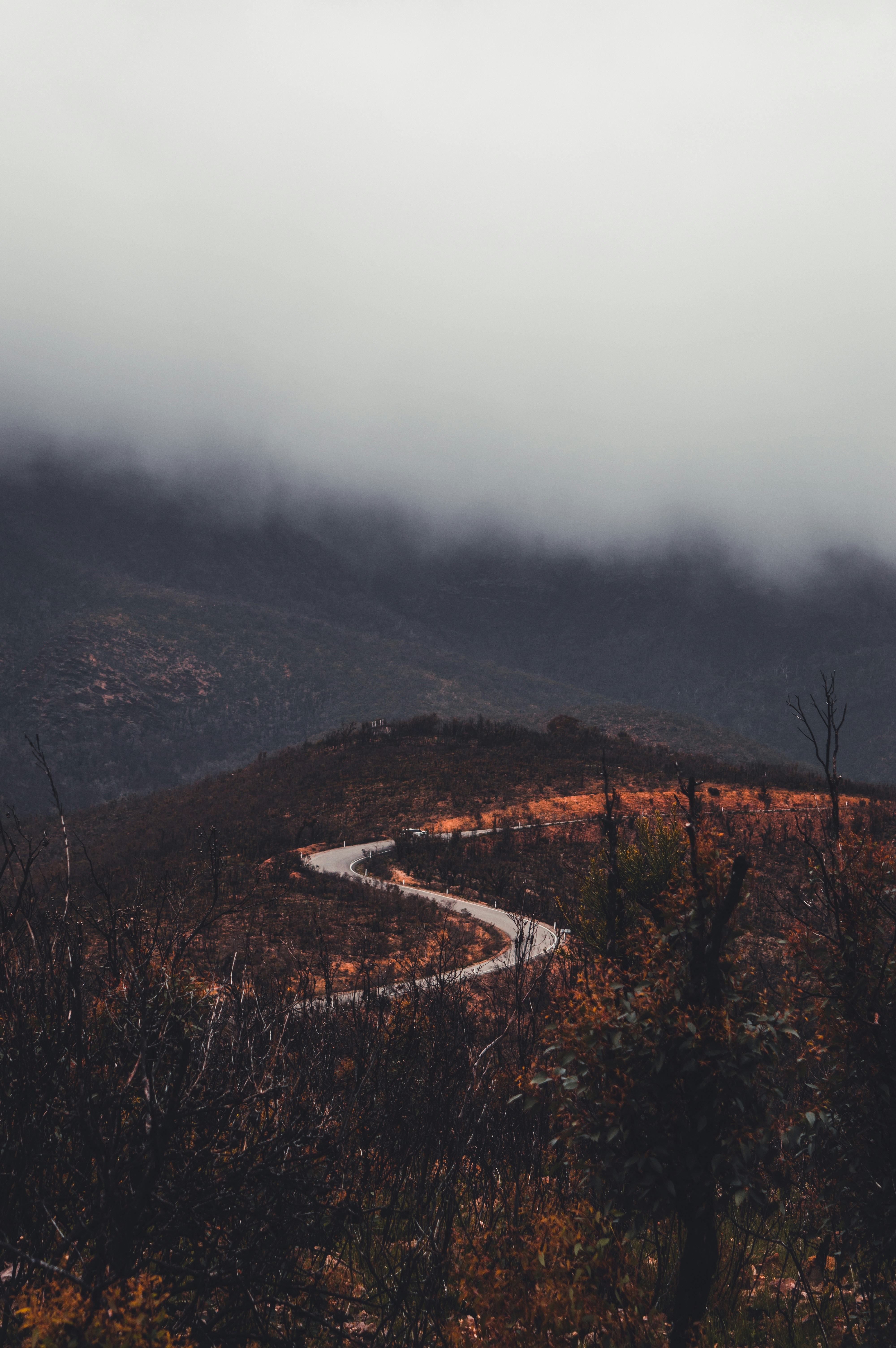 A serpentine road meanders through a rugged landscape shrouded in fog, highlighting the interplay of earth tones and mist. The scene evokes a sense of mystery and adventure.