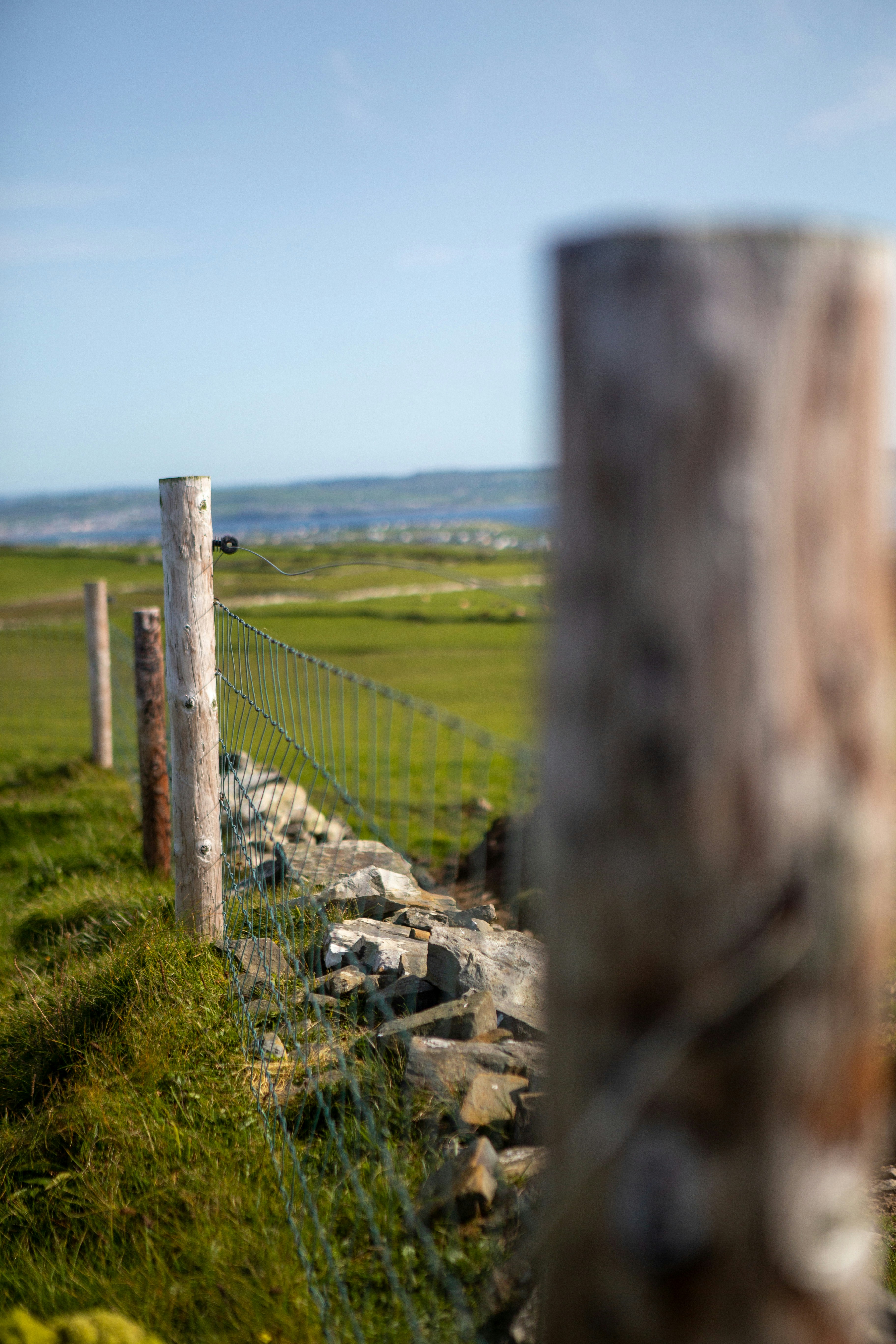 Fenced Path to the Sea: A Leaning Line of Posts and Wind-Curved Wire