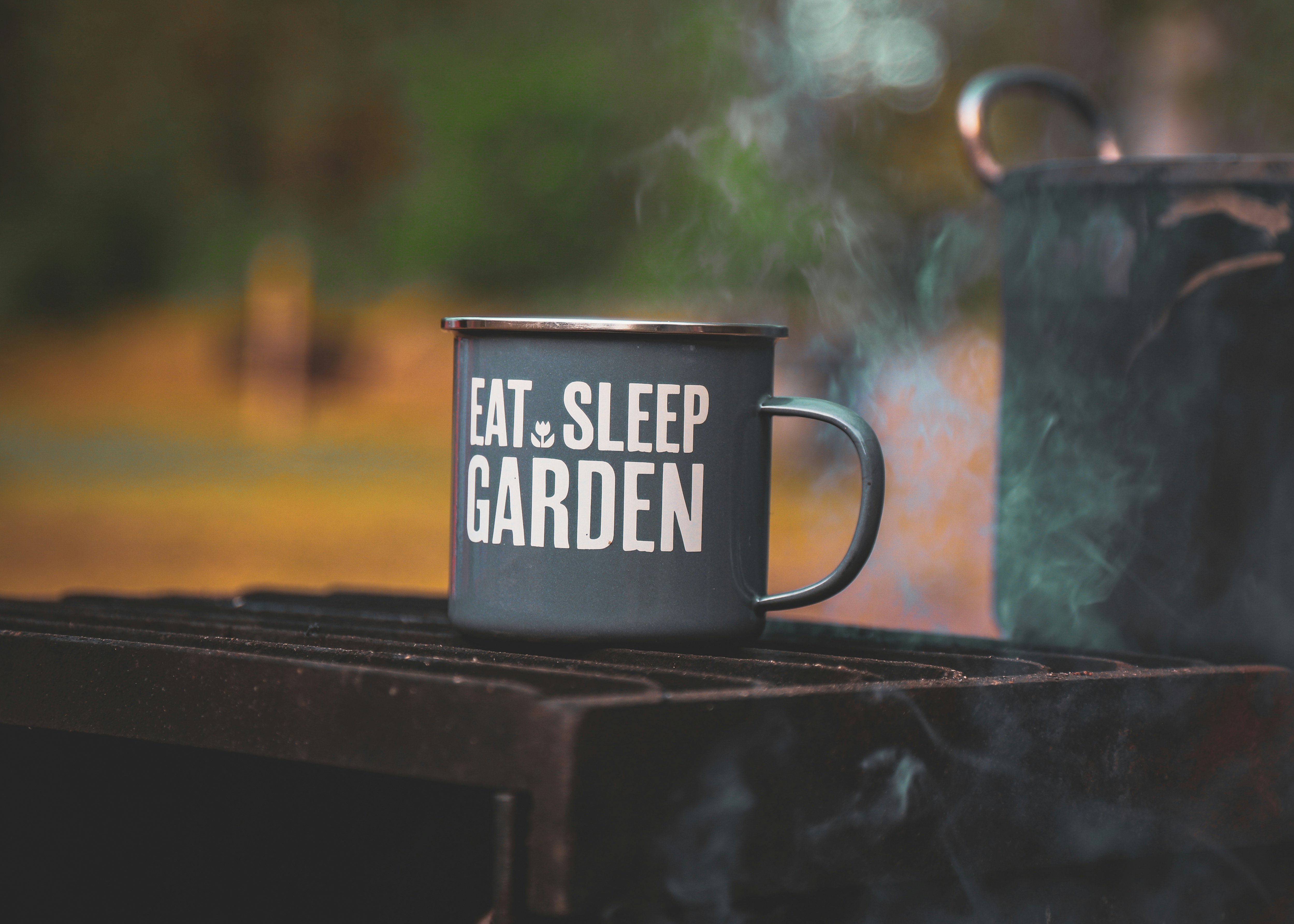 Serenity in a Campground Morning