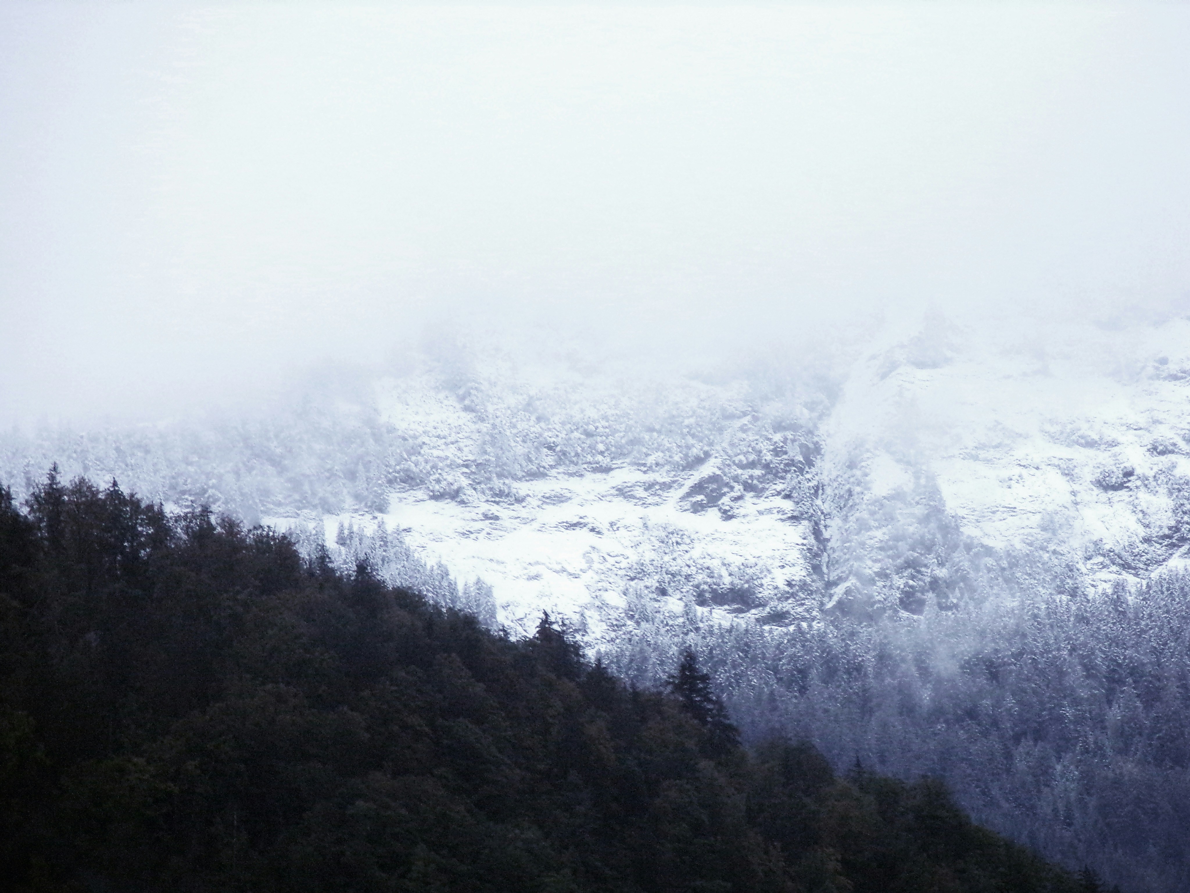 Snow-covered mountains shrouded in mist, with dark forested hills in the foreground. A serene winter landscape unfolds.