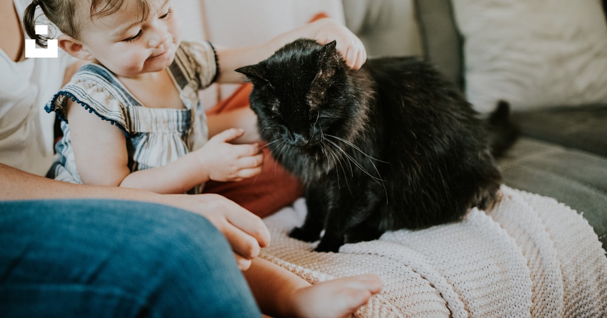 黒い猫の横の白いソファに座っている青いデニムジーンズの女性の写真 Unsplashの無料猫写真