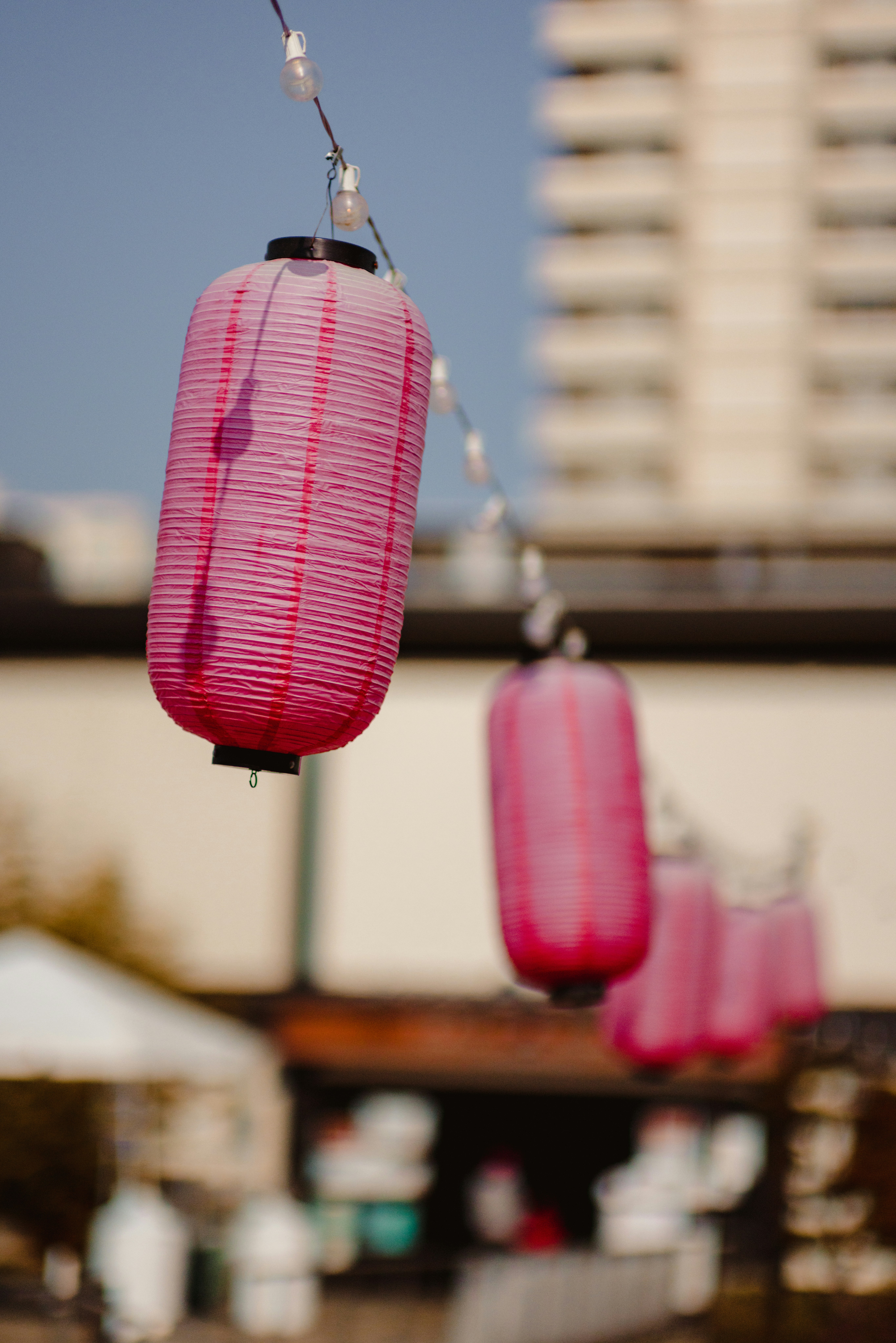 Pink Lantern Strings: A Sunlit Courtyard in Gentle Bokeh