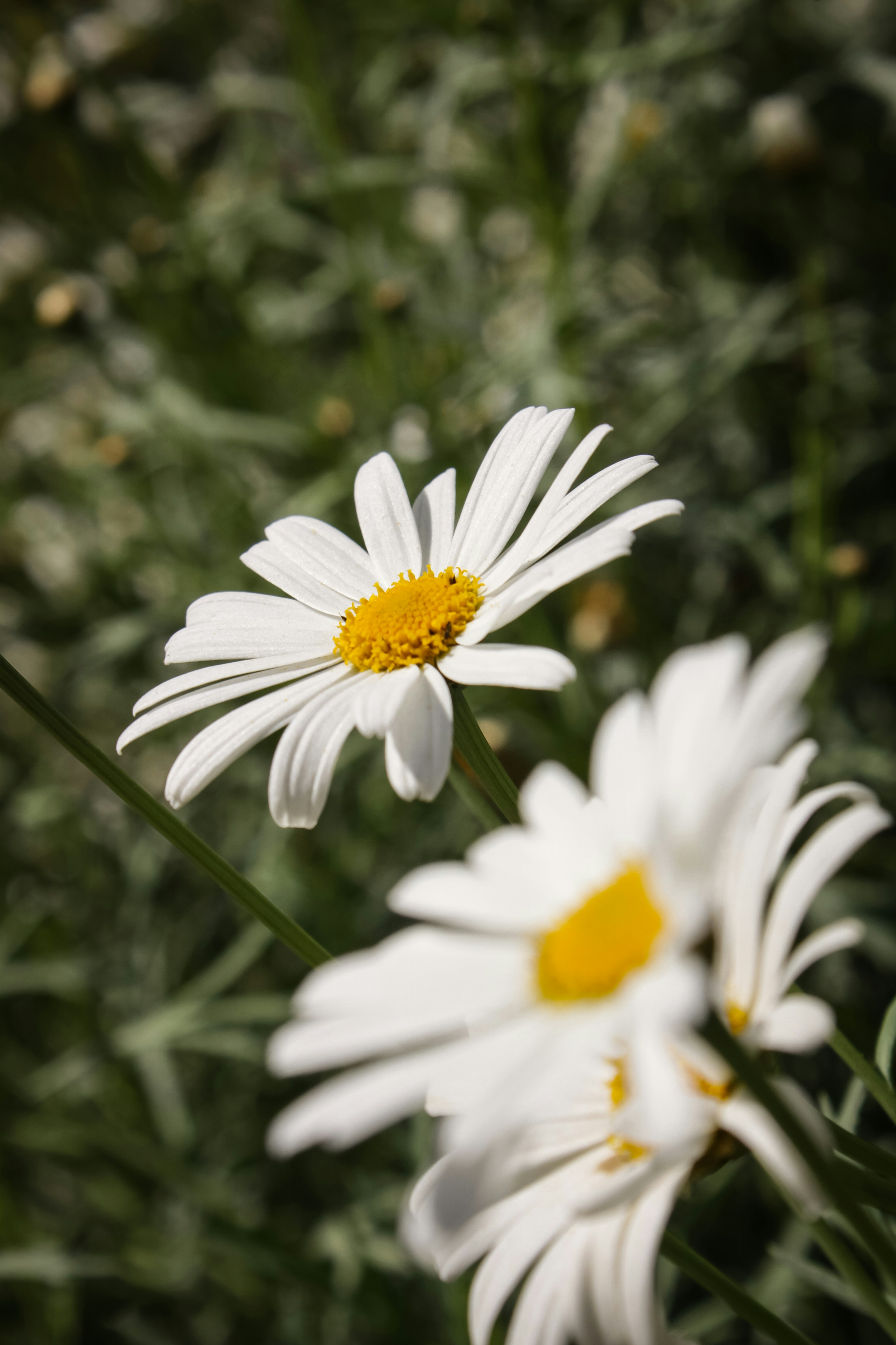 Rafik Fella (@rafik_f) | Unsplash Photo Community