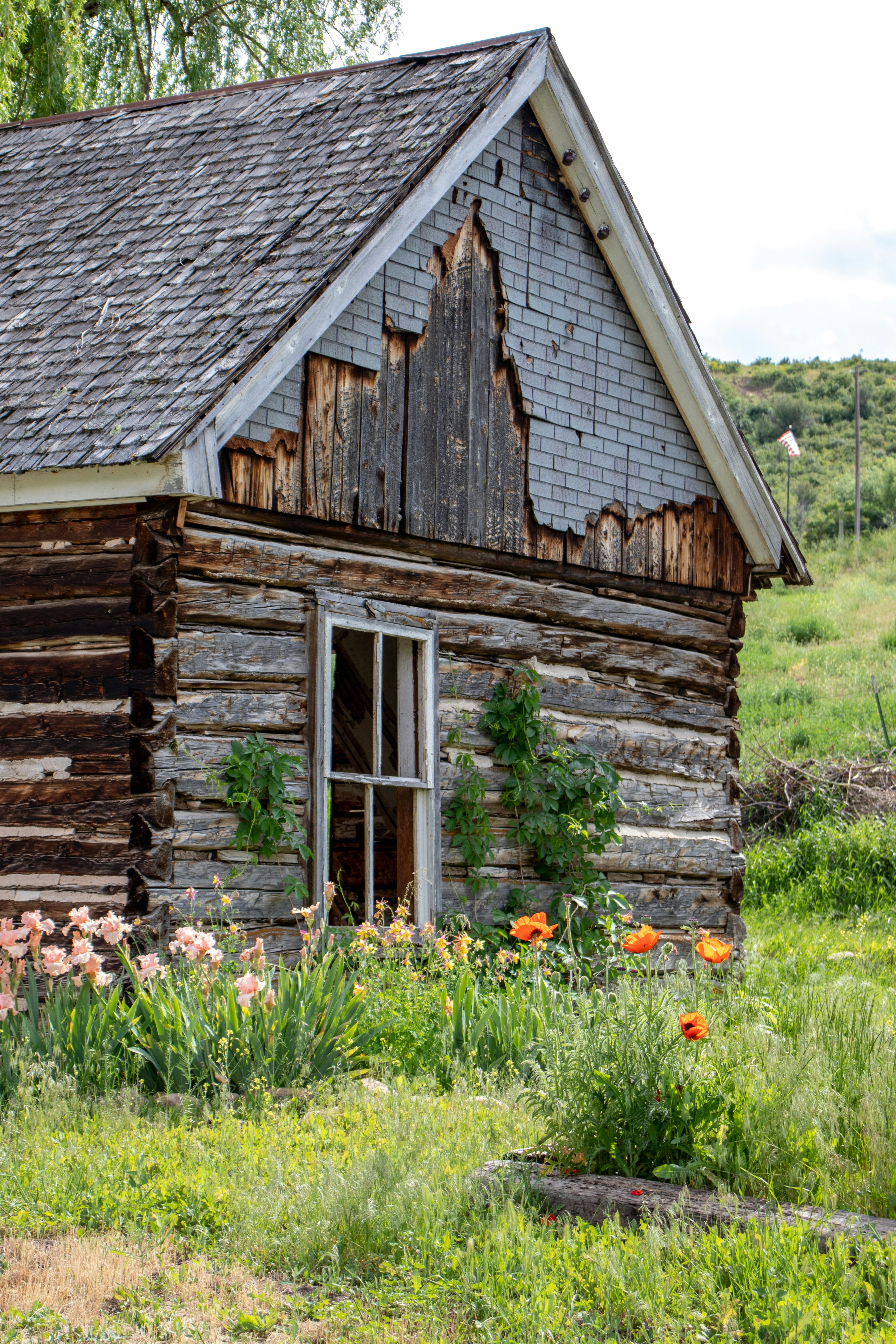 Whispers of Time: The Weathered Cabin