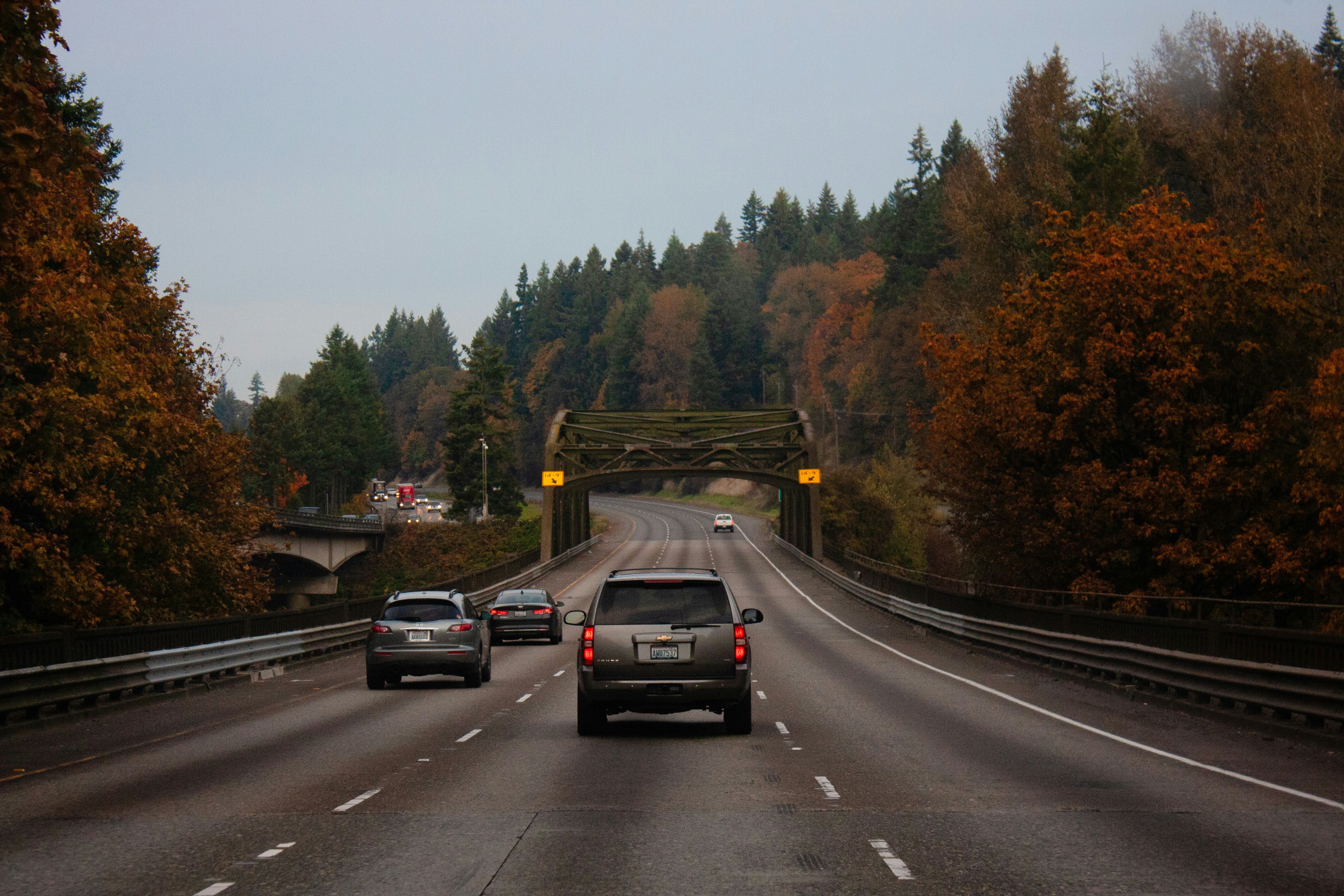 Autumn Commute: Cars Crossing a Tree-Lined Highway
