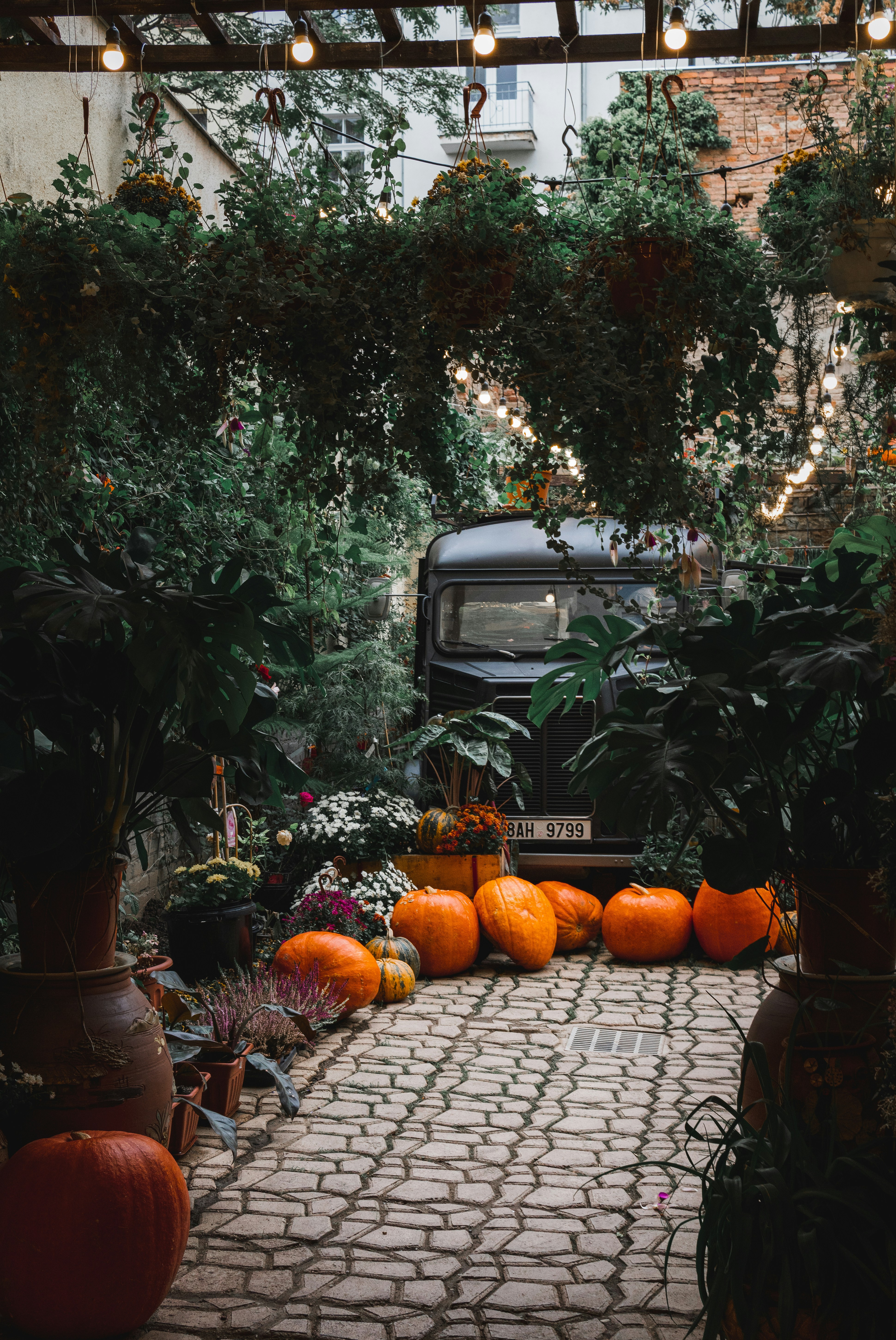 A charming courtyard adorned with vibrant pumpkins and lush greenery, framed by hanging plants and warm lights. The vintage vehicle adds a nostalgic touch.