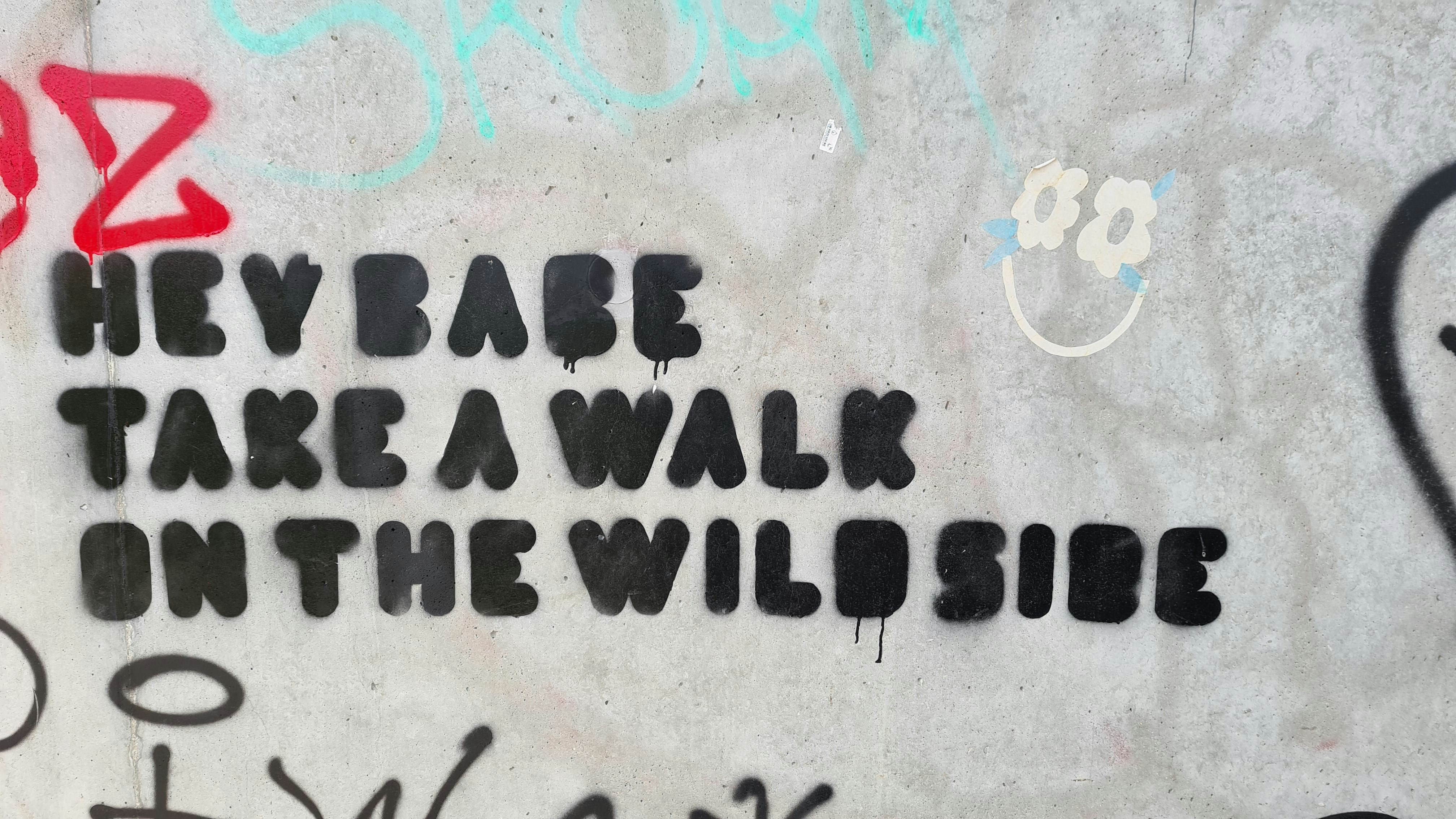 Graffiti text reading 'Hey babe, take a walk on the wild side' on a concrete wall.