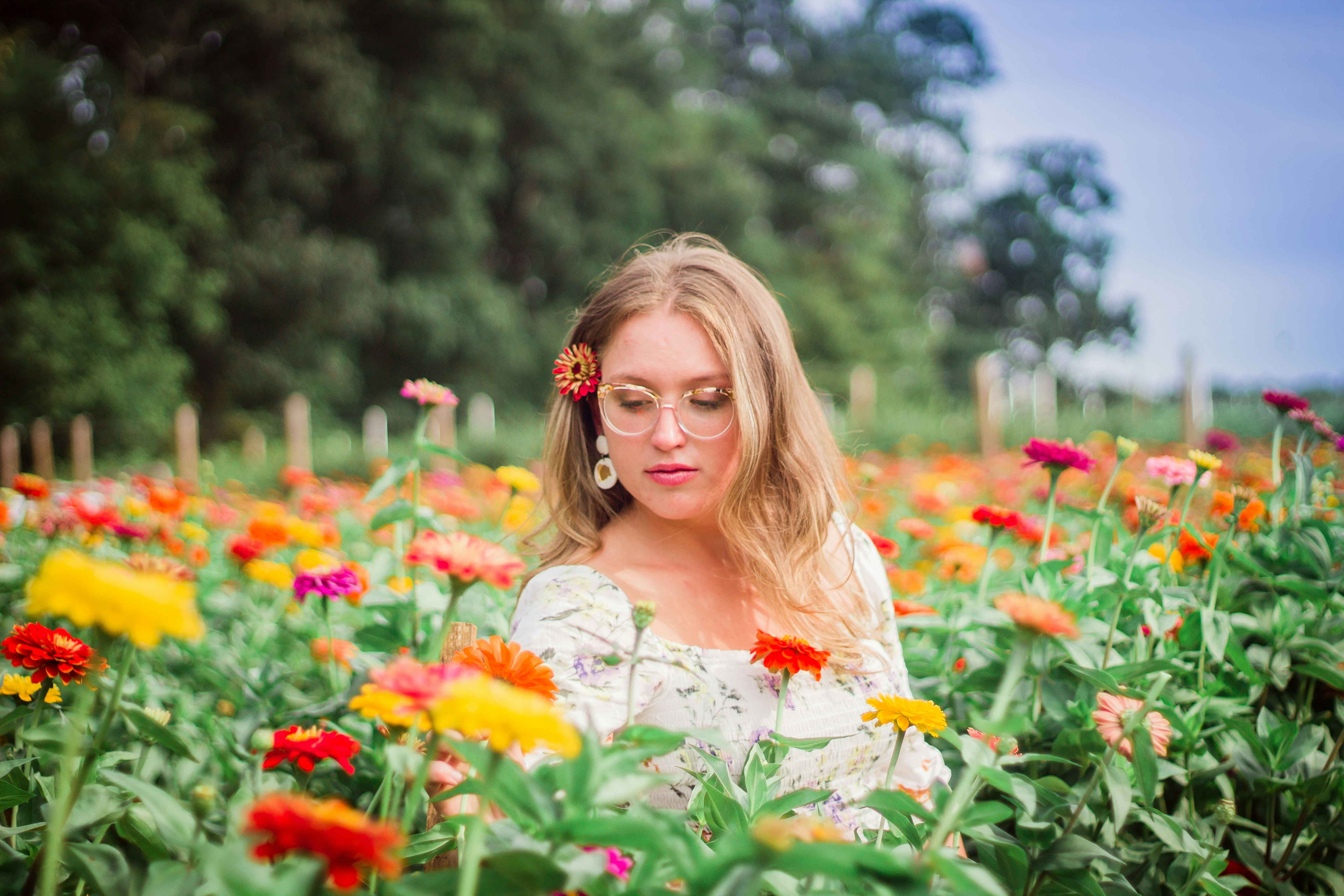 Soft Focus Amid a Zinnia Chorus: A Calm Portrait in Color