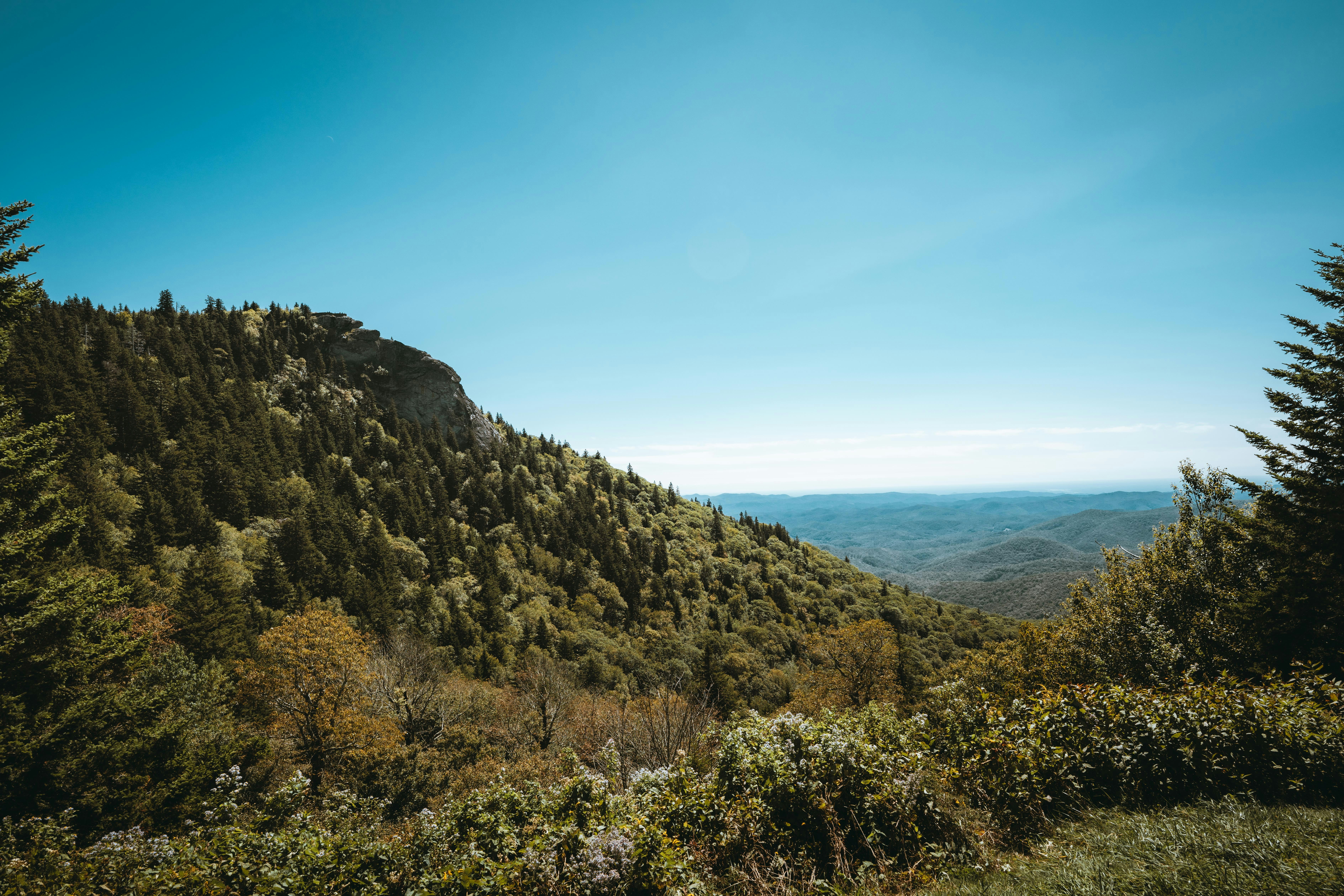 Lush green mountains stretch into the distance under a clear blue sky.