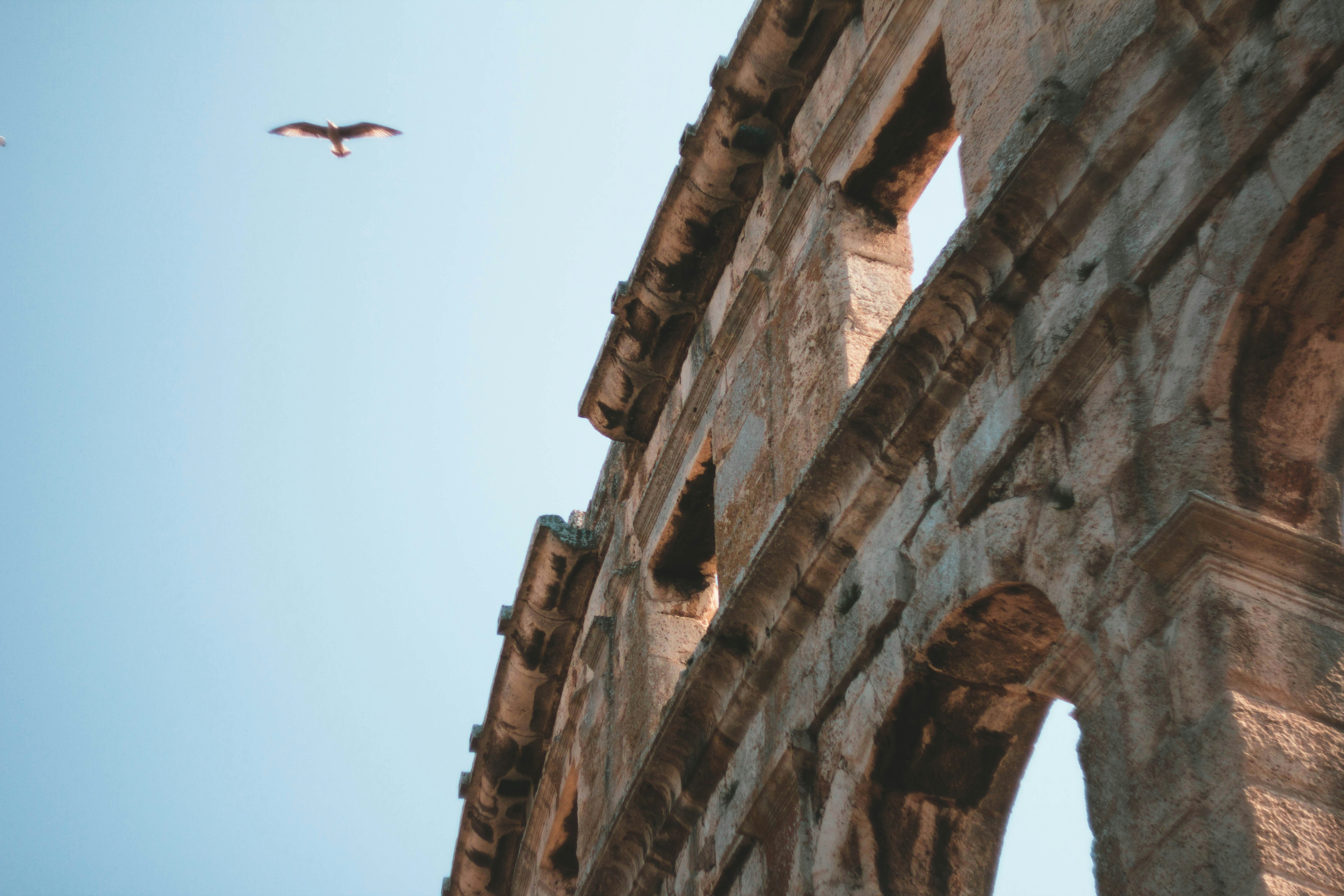 Winged Silhouette Over Timeworn Arches Against a Clear Blue Sky
