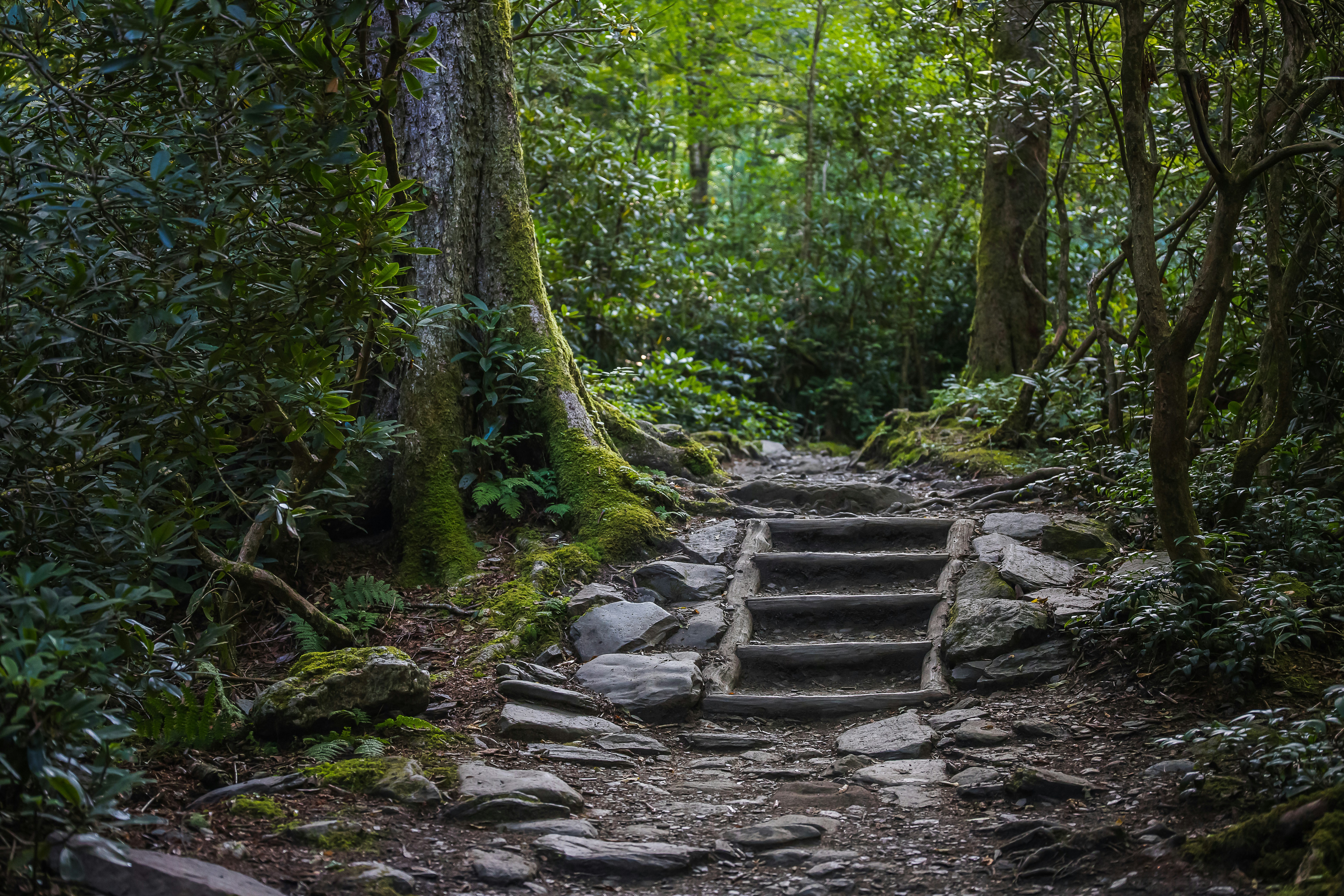 Stone hiking path