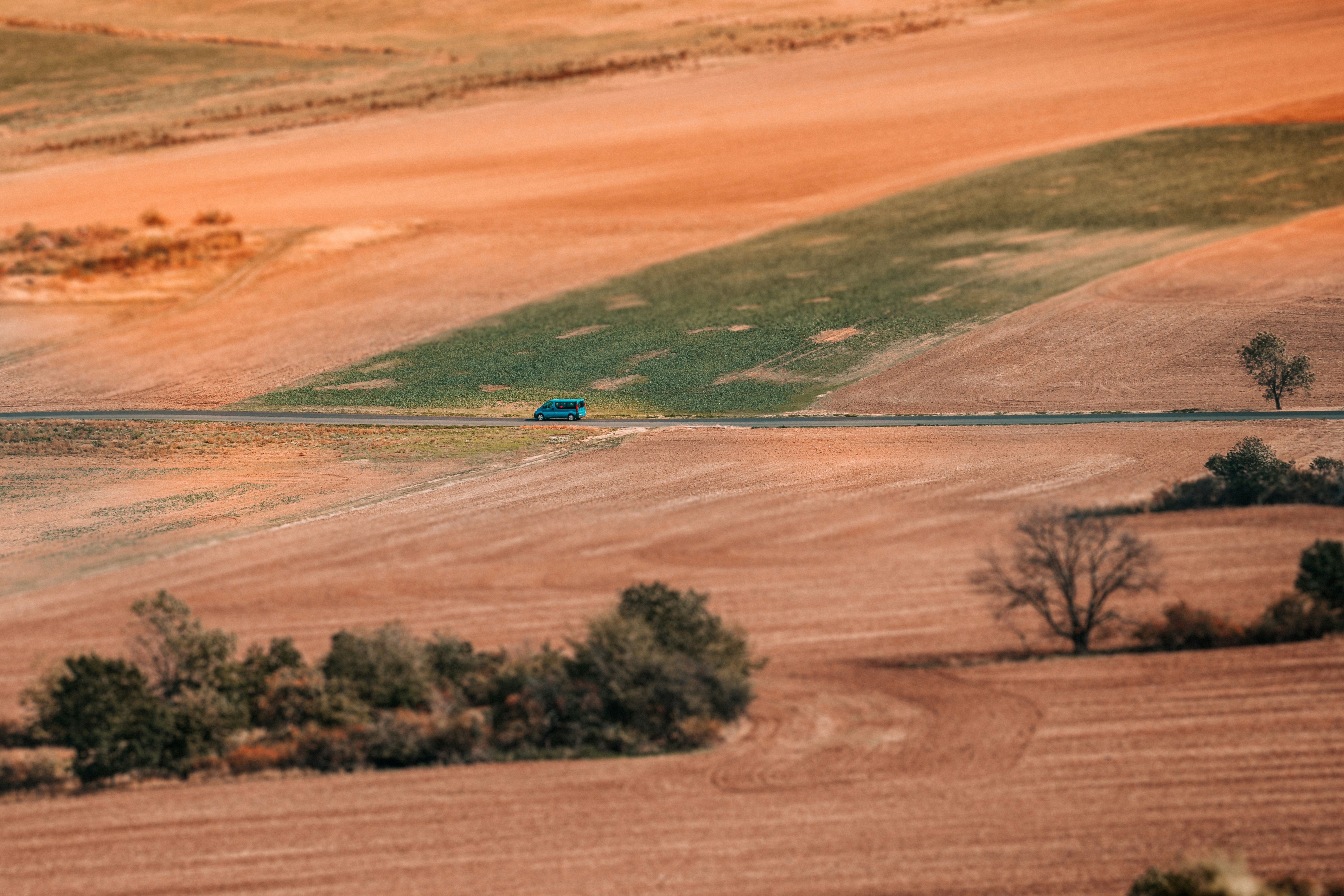 Azure Speck on the Woven Hills: A Quiet Drive Through Golden Fields