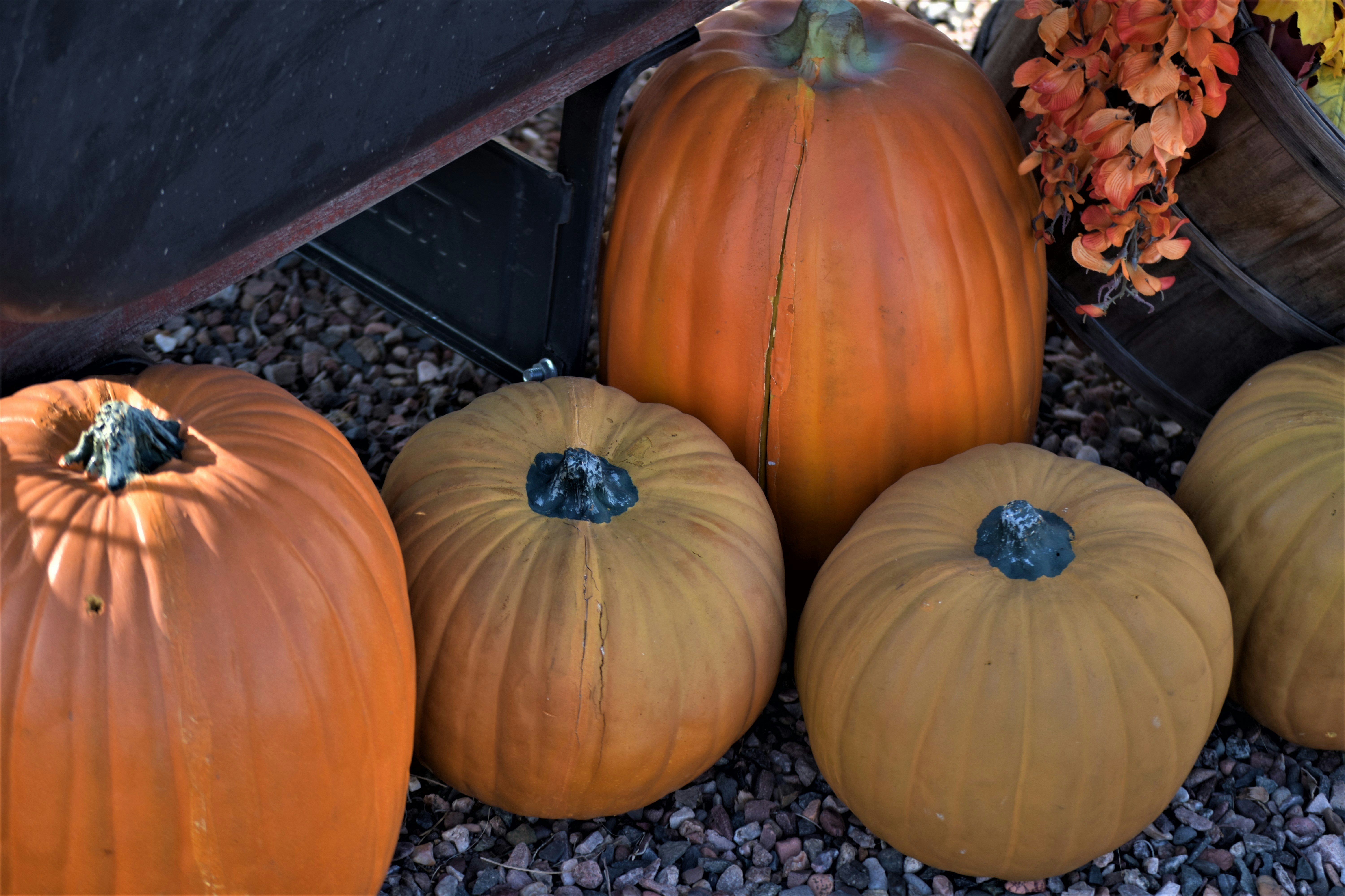 A cluster of vibrant orange pumpkins nestled among decorative autumn foliage and rustic elements, embodying the spirit of the harvest season.