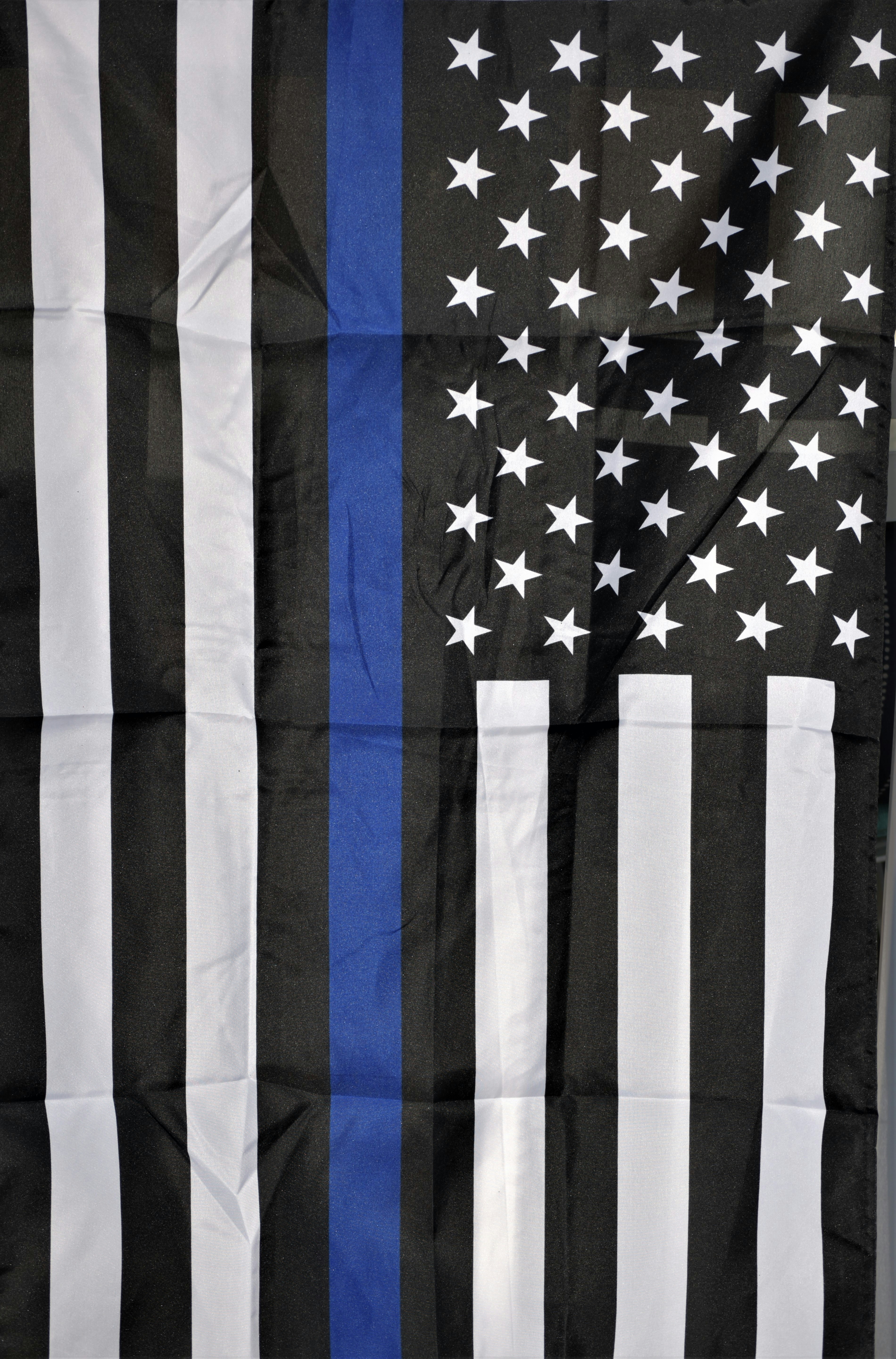 Flag hanging in Palm garden