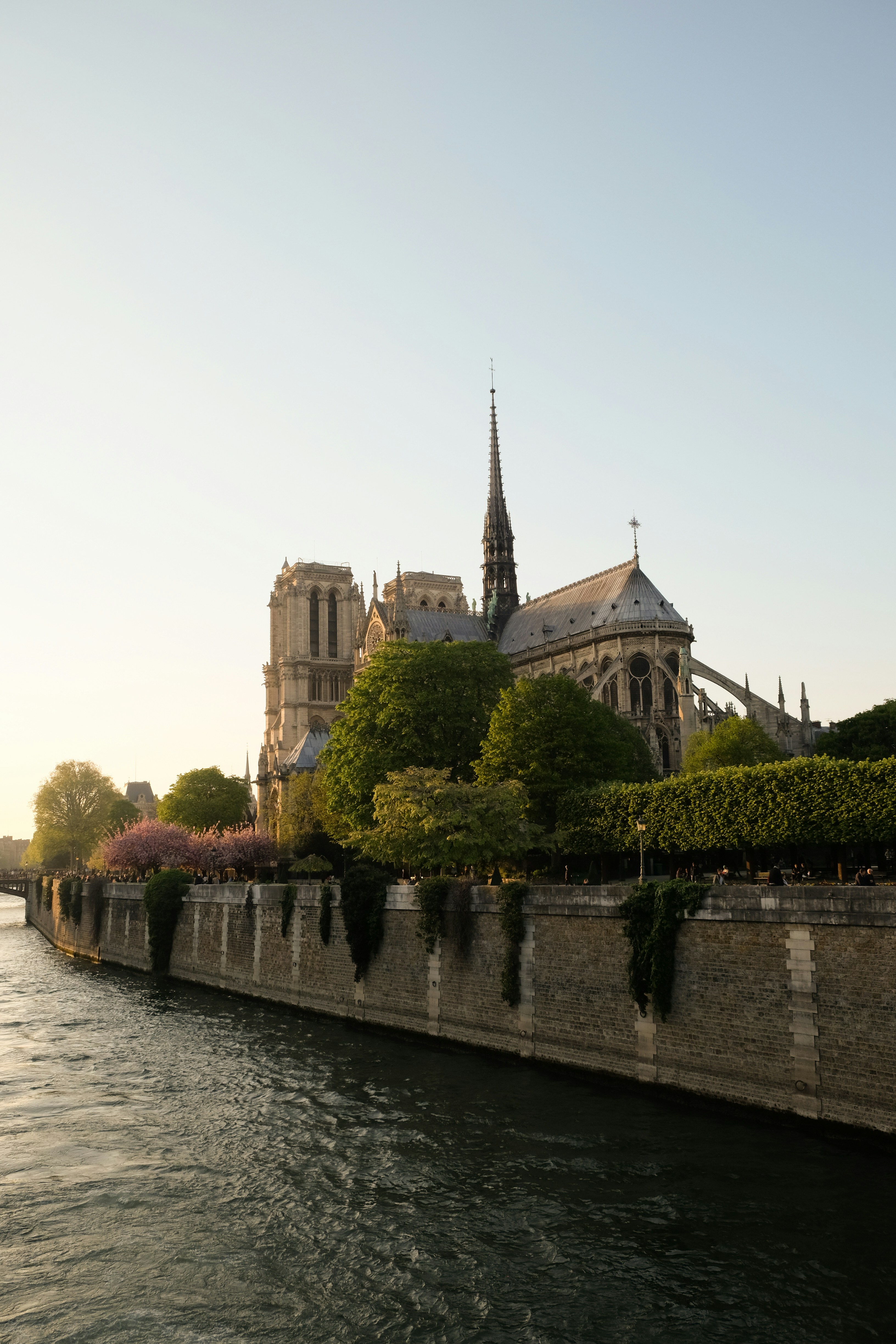 Spire against the Seine: Notre-Dame framed by dusk-lit trees
