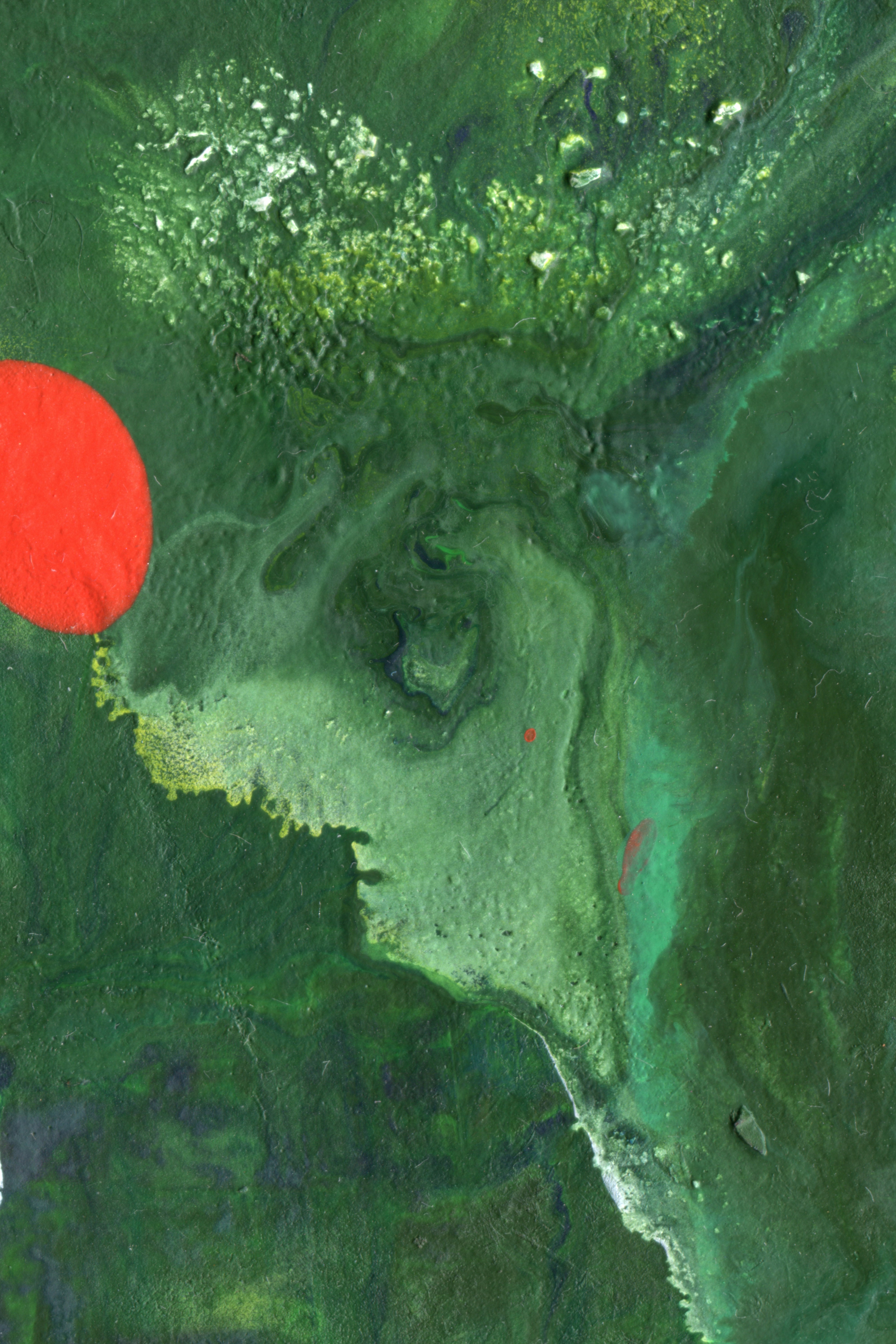 Abstract artwork featuring a prominent red circle against a textured green background, evoking the essence of nature's interplay. 
