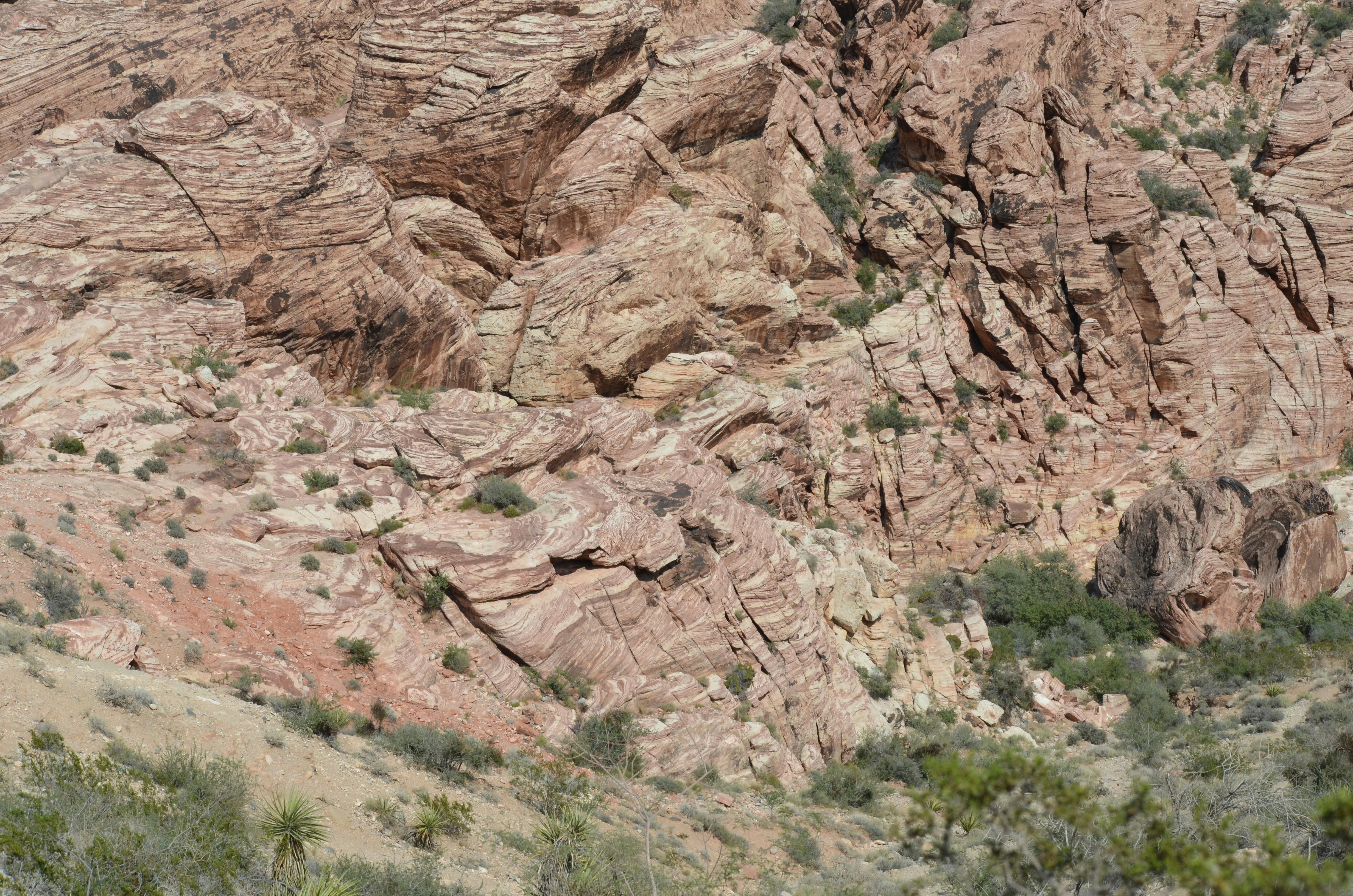 Rock formation with limited trees | brown rock formation during daytime