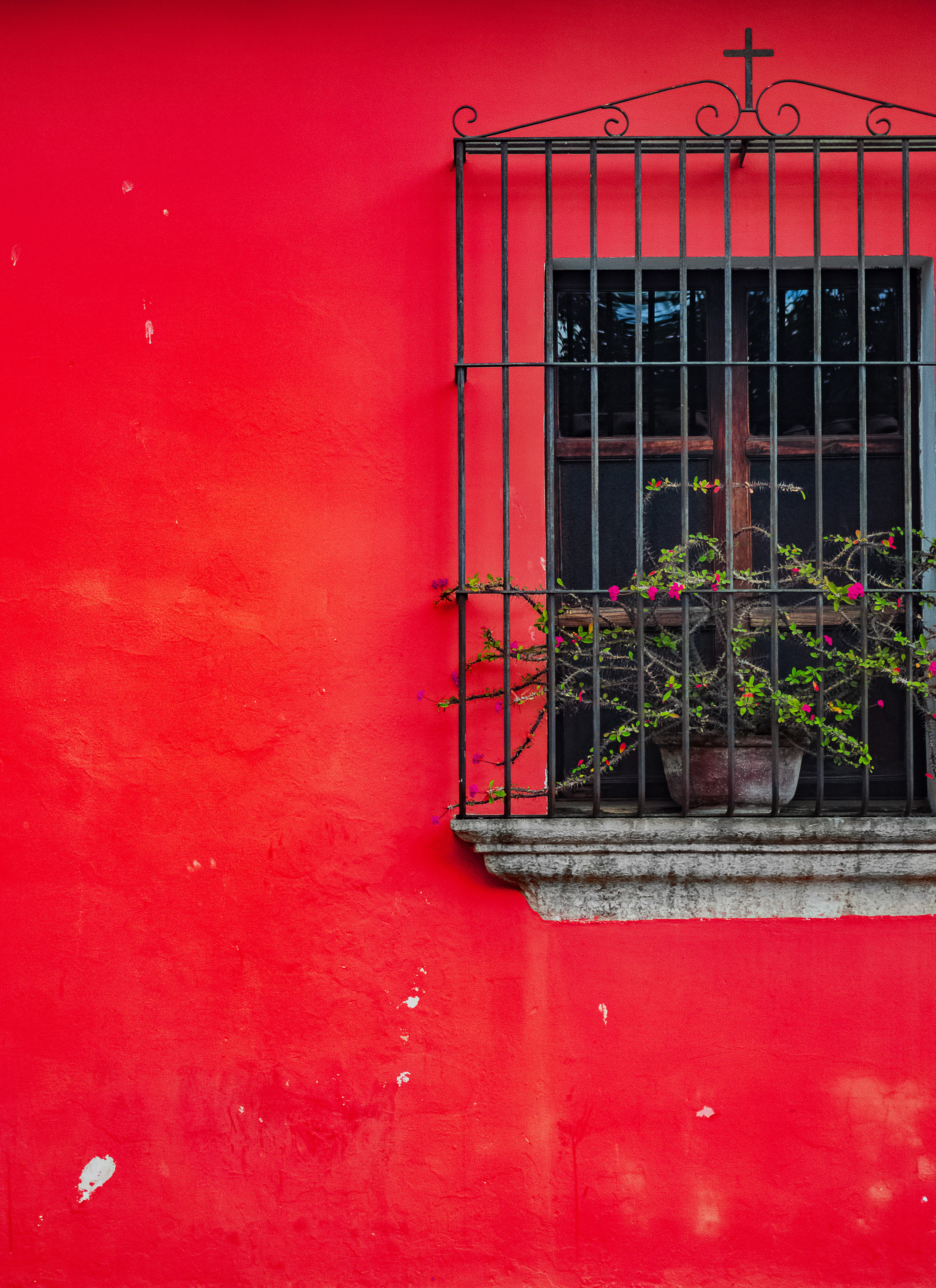 Crimson Facade Framed by a Wrought-Iron Window Grille