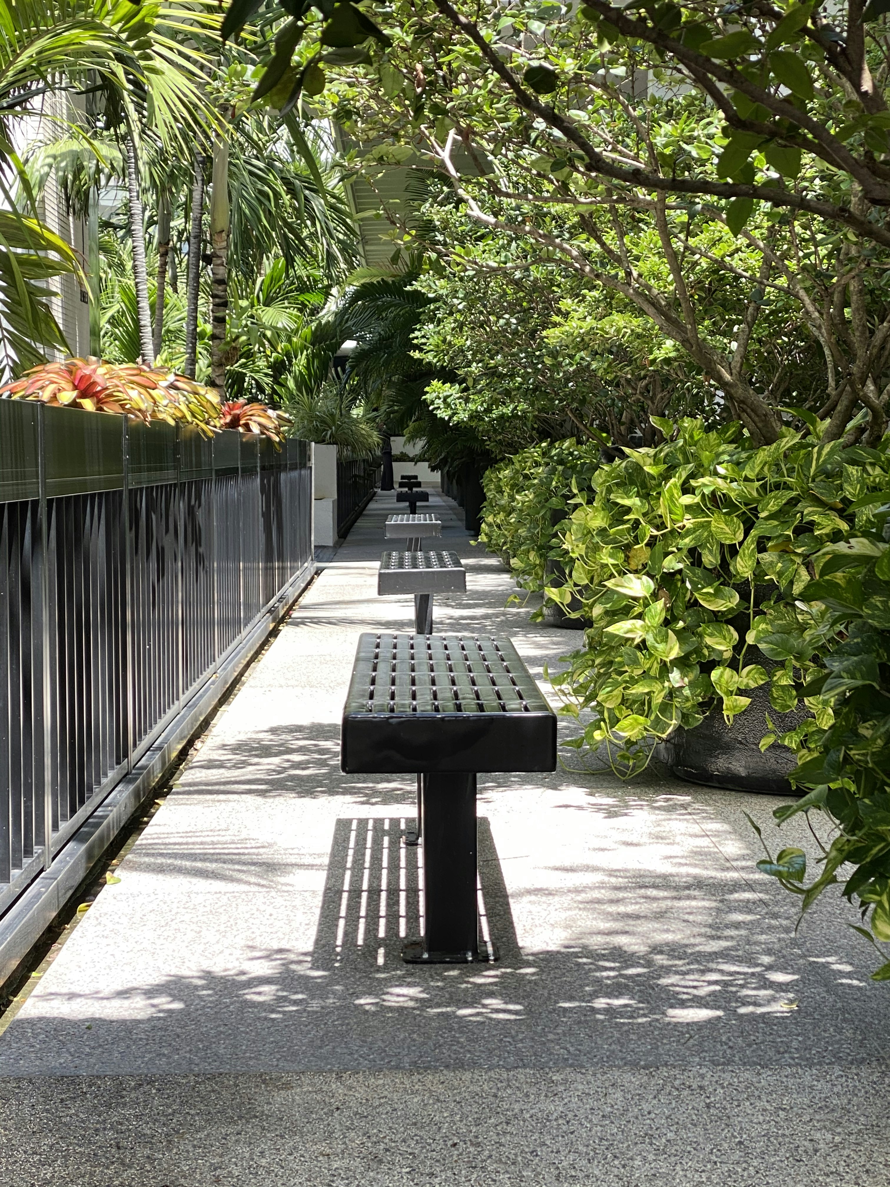 Bench Corridor: Sunlit Alley of Steel Benches Framed by Tropical Foliage