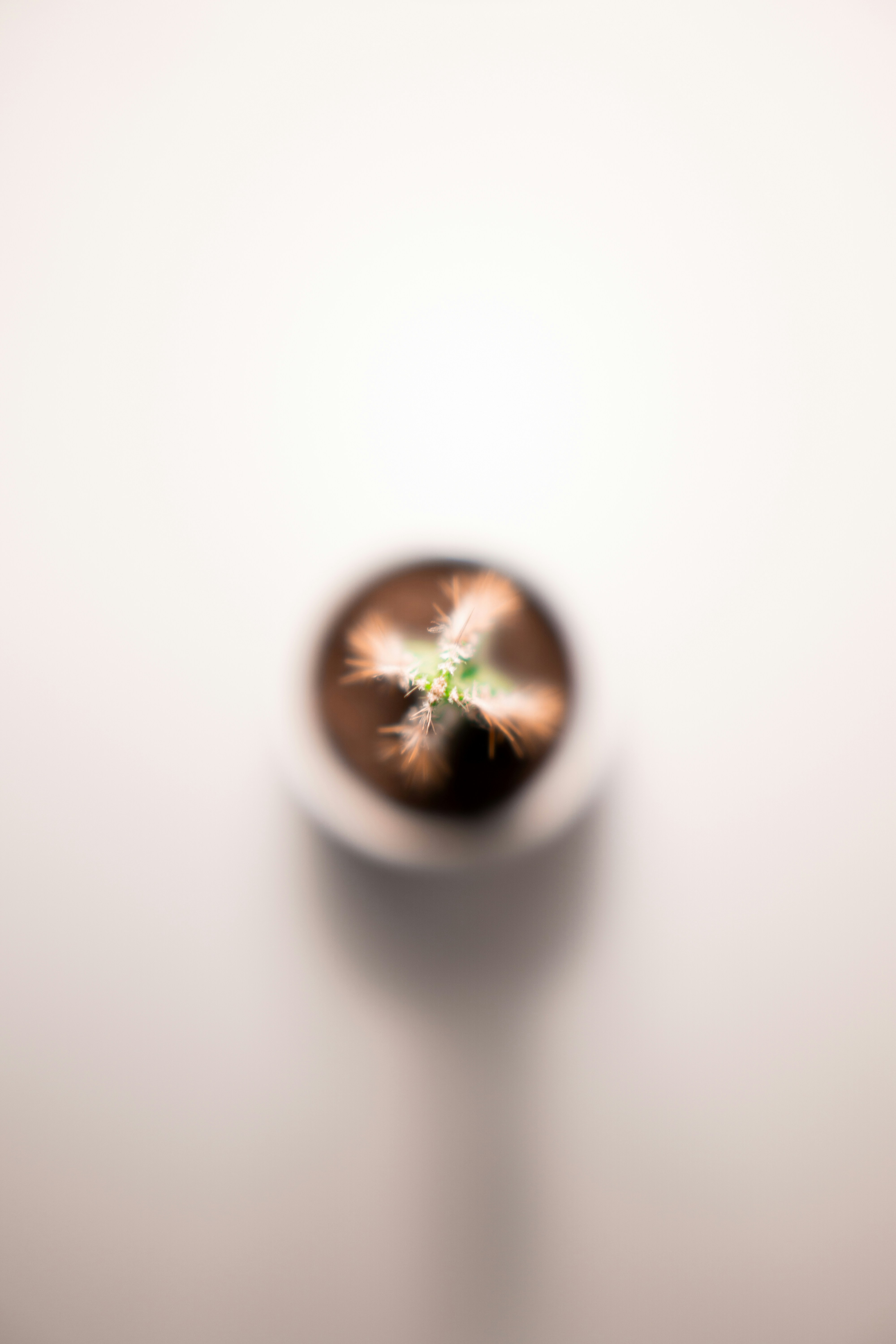 Green Core Through a Cylindrical End: A Tiny Bloom in Focus