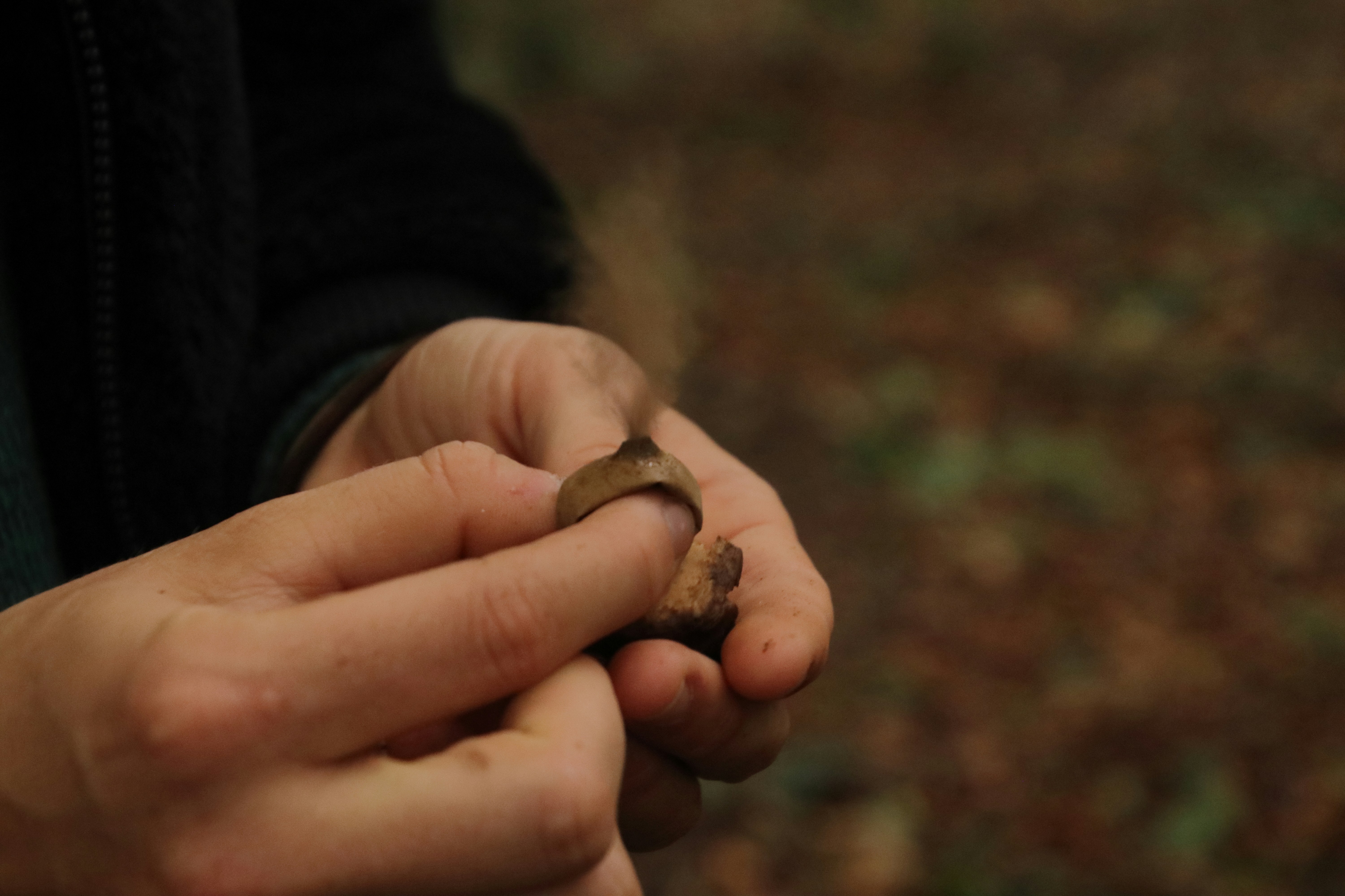 Hands Crafting a Tiny Moment: A Seed Pod Between Fingers
