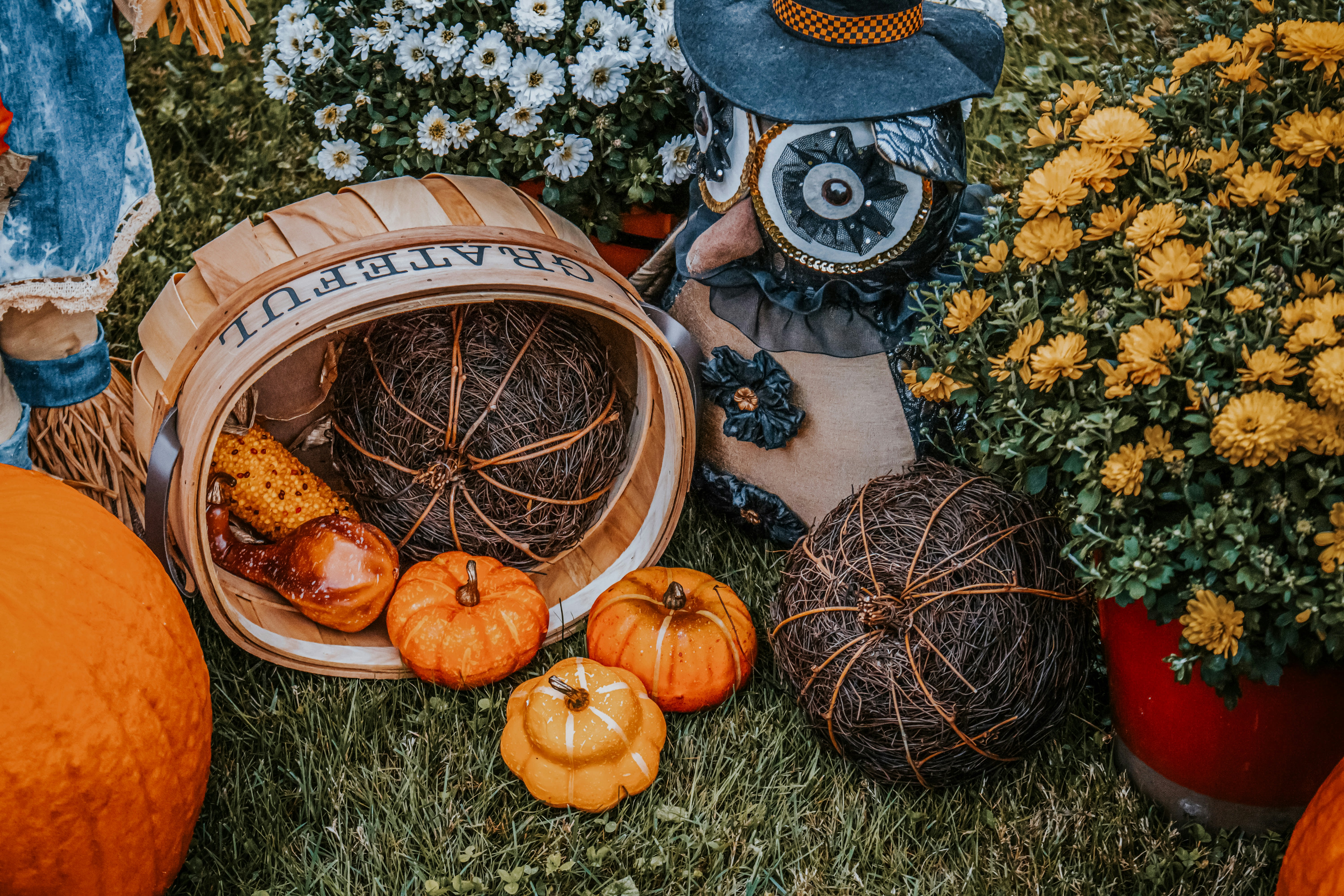 Autumn Harvest: Pumpkin Basket Among Blooming Yellow Chrysanthemums