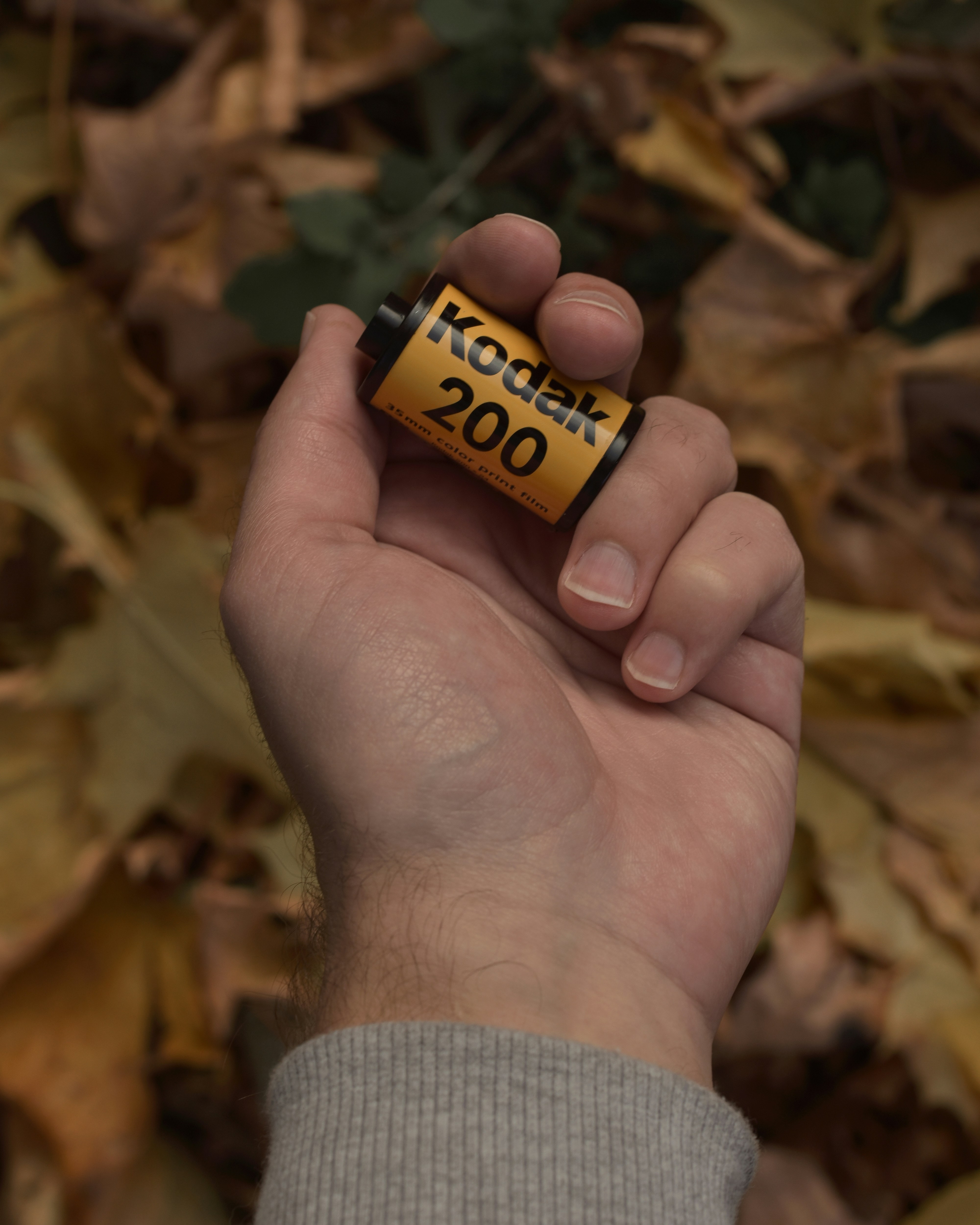 Autumn Grip: Hand Holds a Kodak 200 Film Canister Among Fallen Leaves