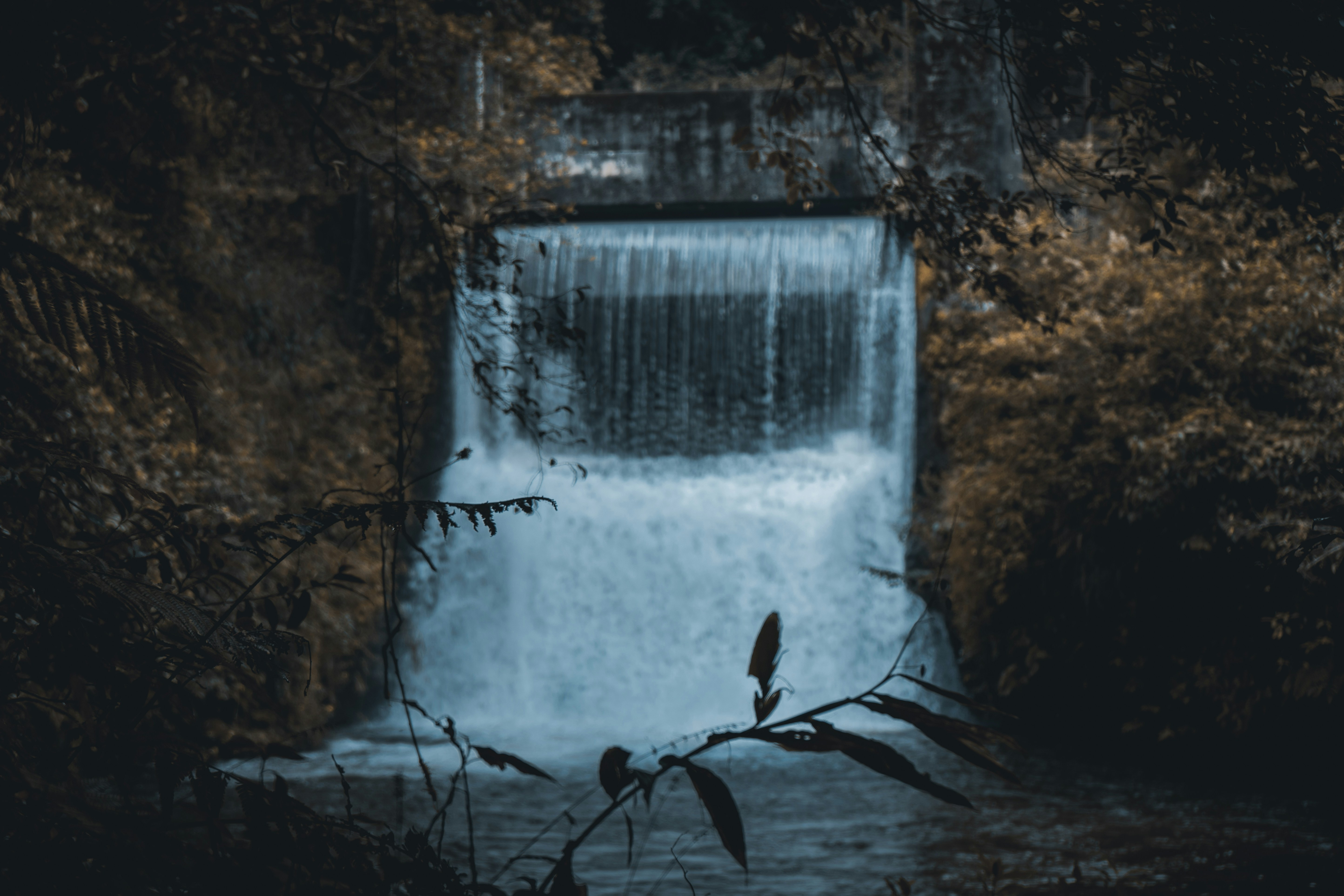 Autumn Cascade: Silhouettes in a Quiet Clearing