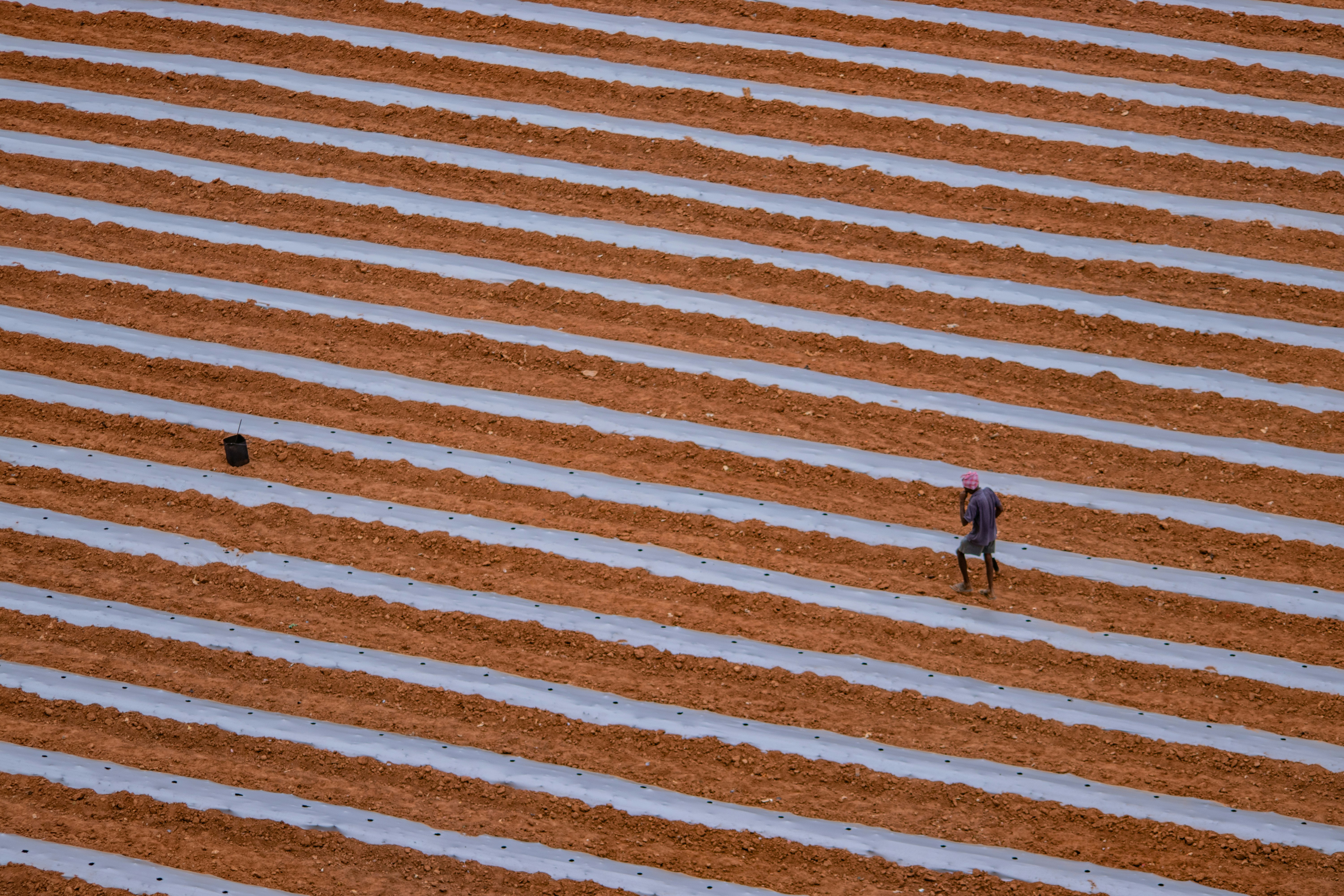 Terraced Echoes: A Lone Figure on Carved Earth
