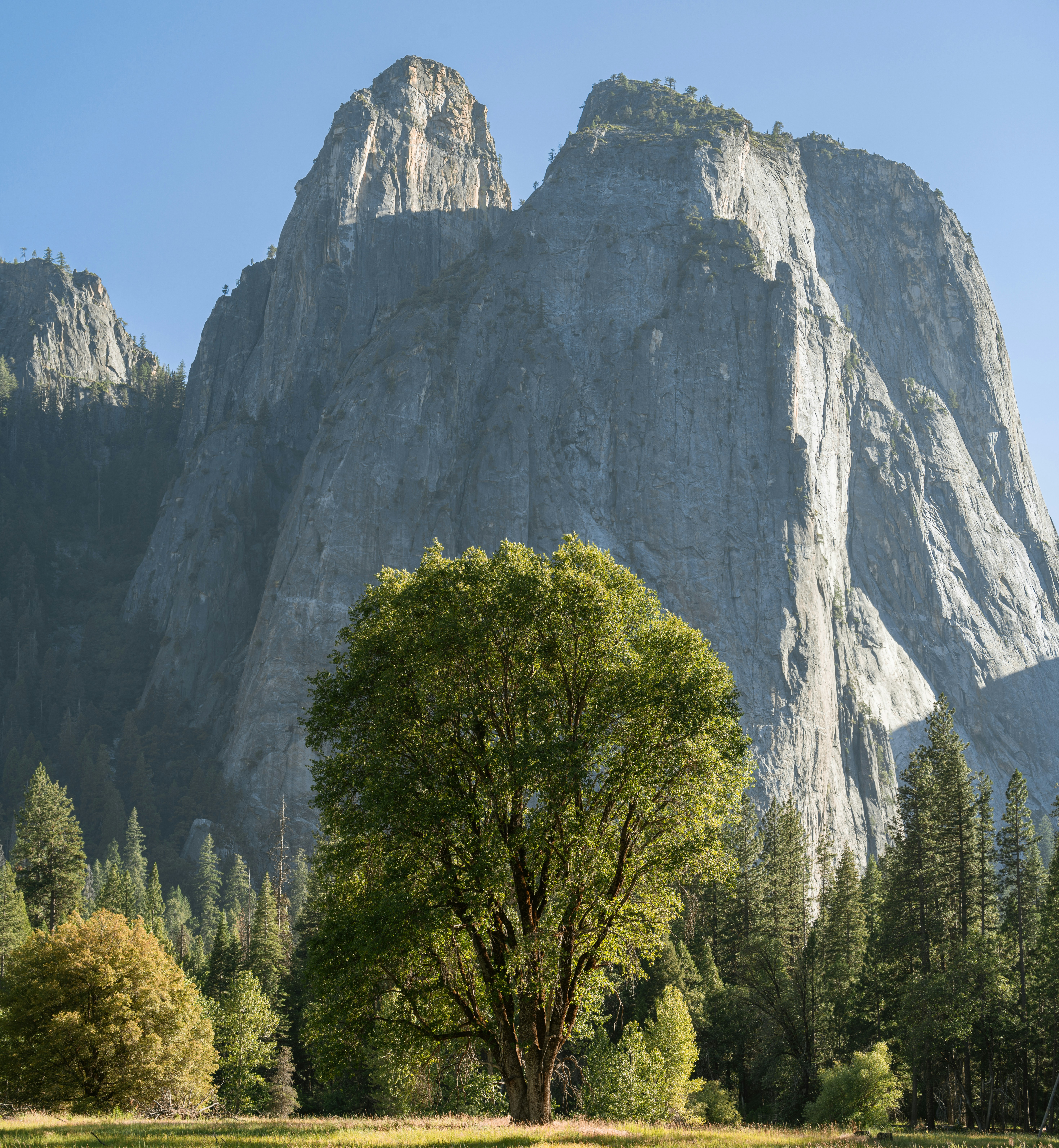Green trees near gray mountain during daytime photo – Free Yosemite ...