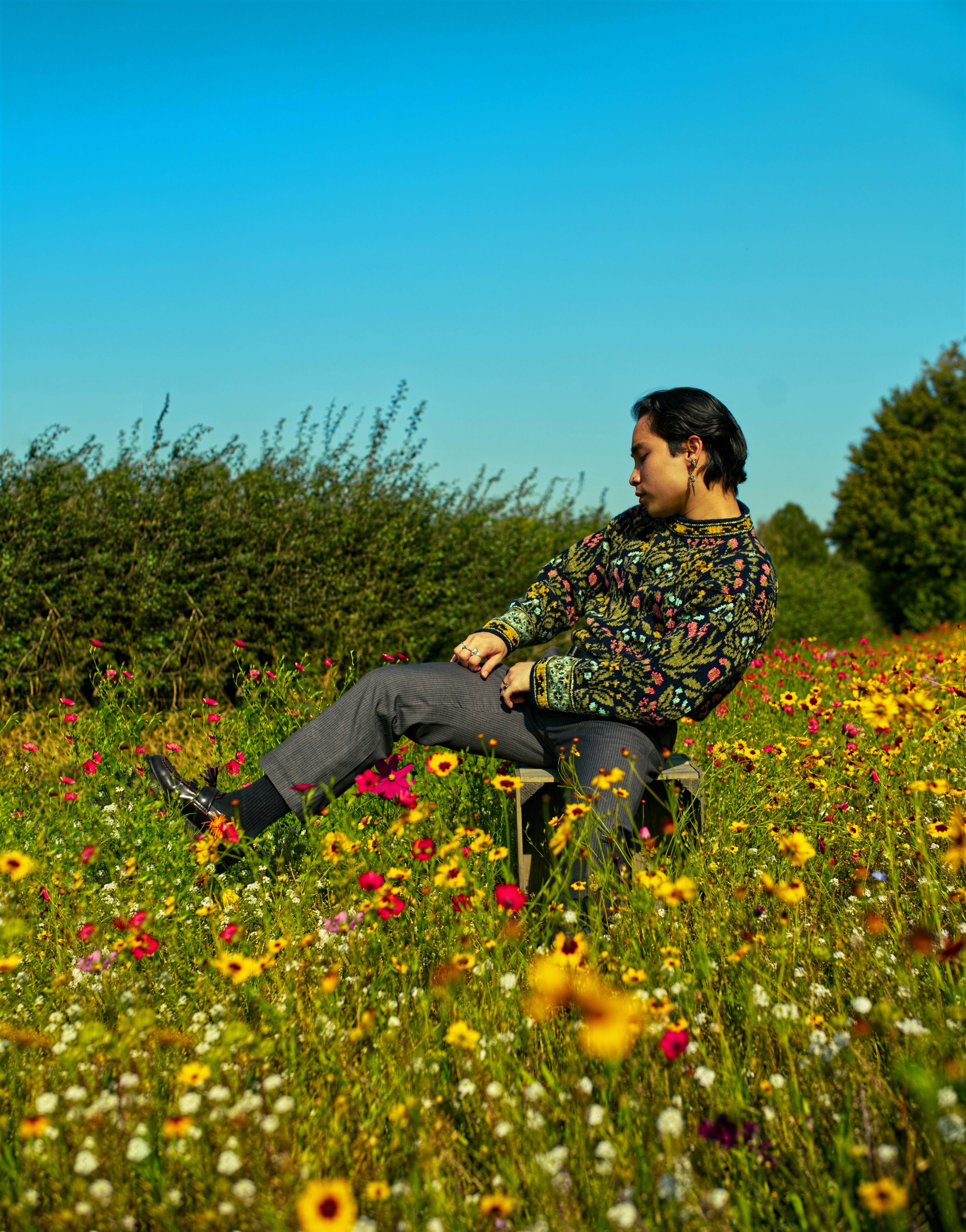 In Bloom: A Quiet Portrait in a Field of Color