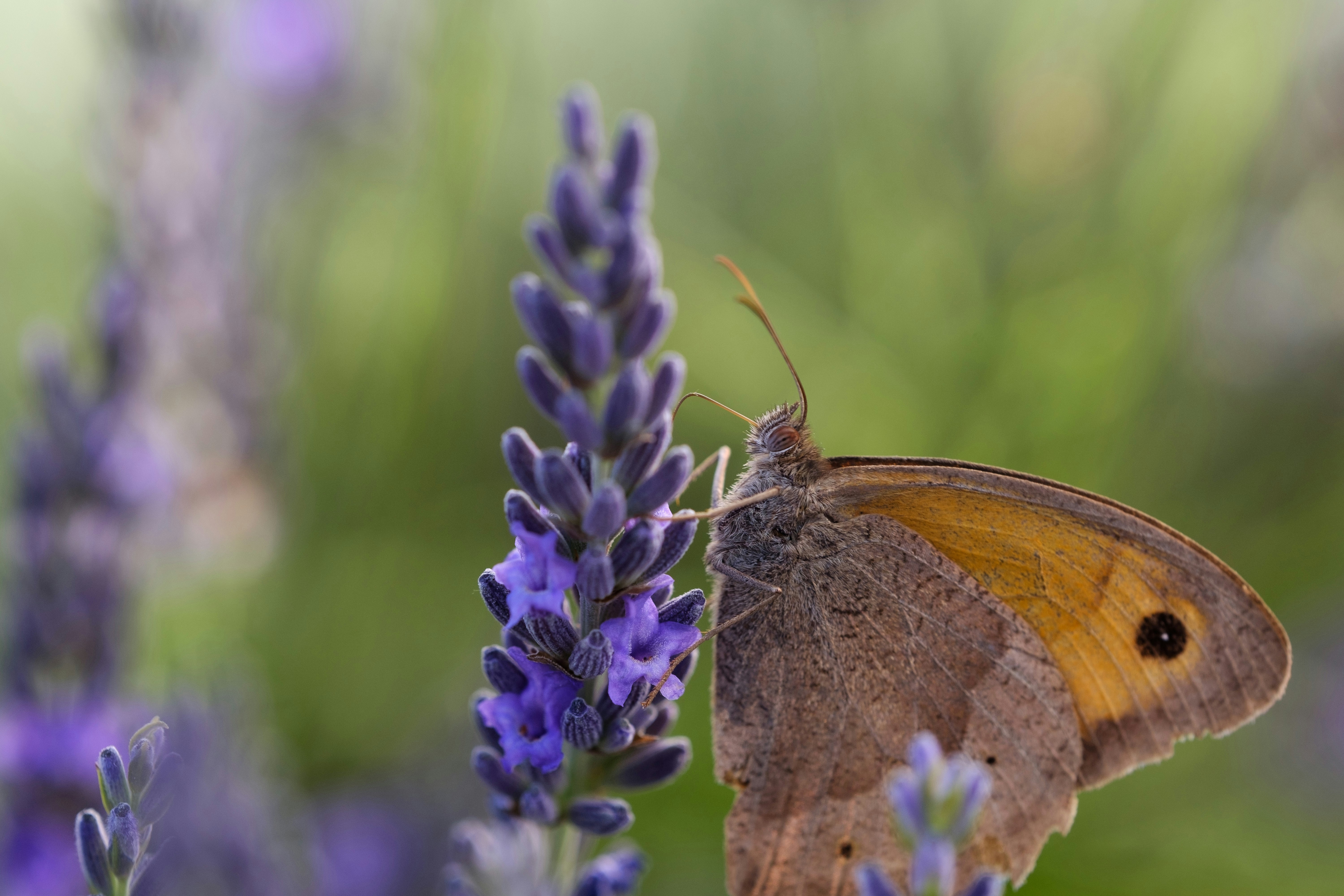 Estações do ano em Portugal: clima e melhor época para viajar
