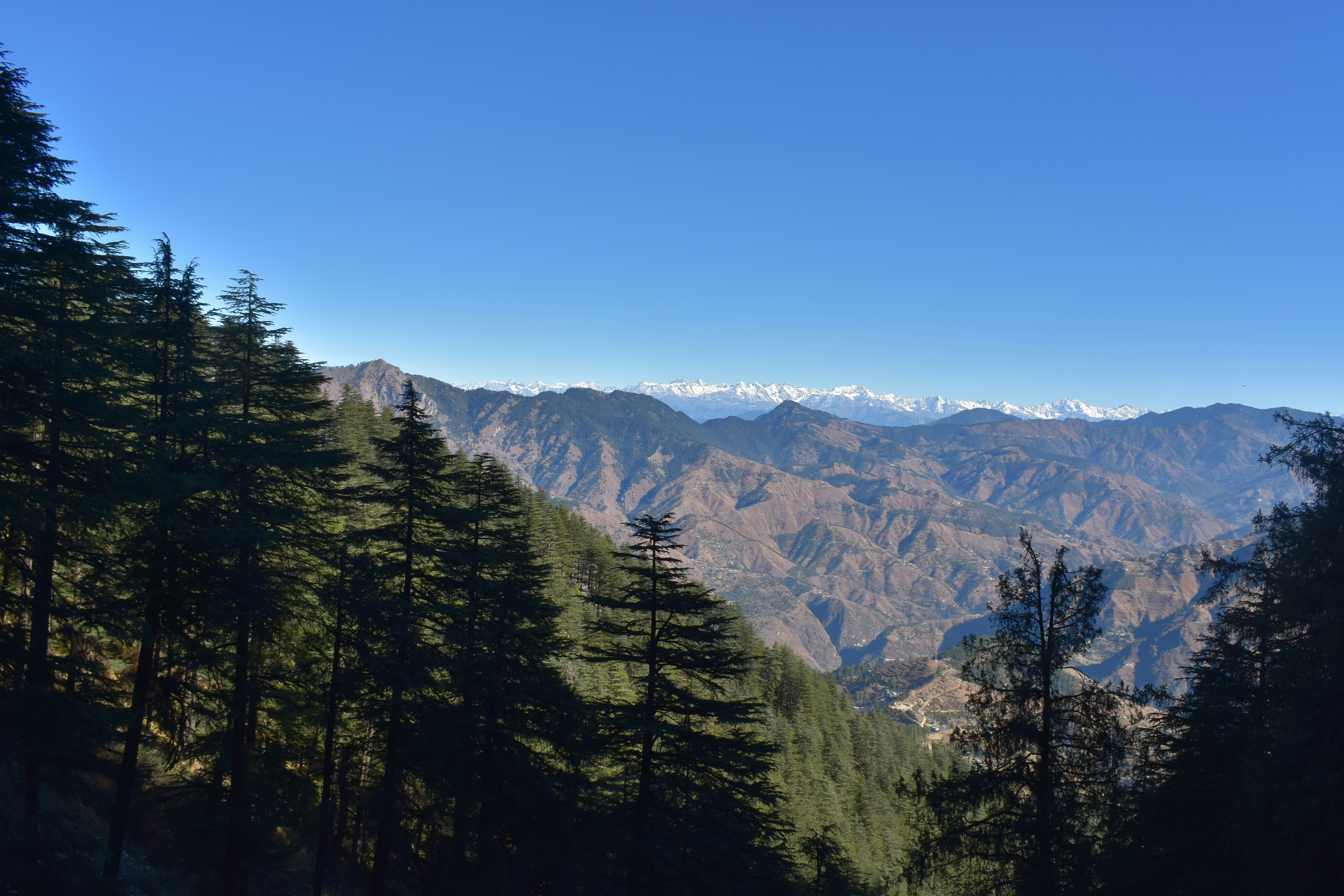 500+ Shimla India Pictures [Scenic Travel Photos] | Download Free ...