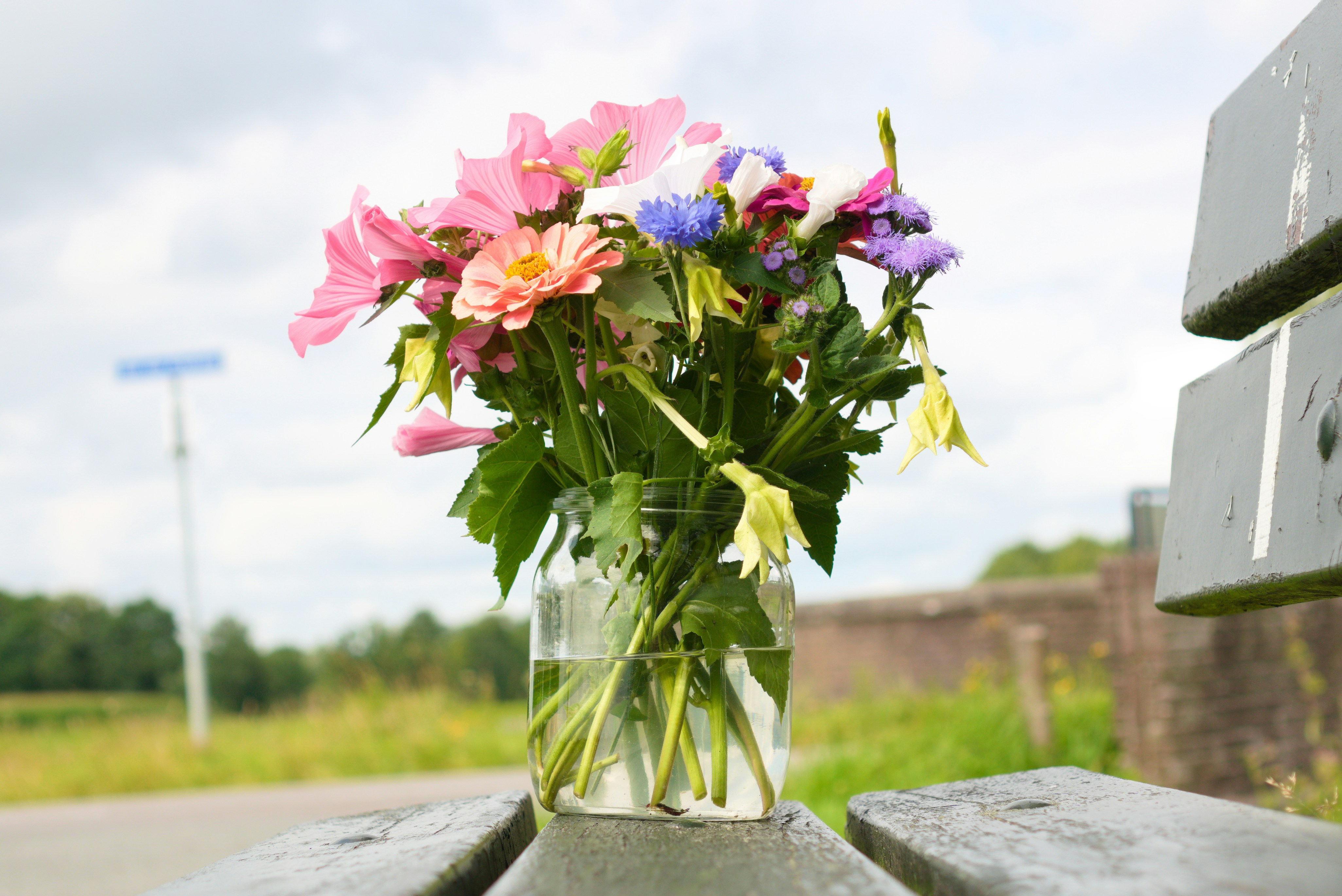 Sunlit Bouquet in a Glass Jar on a Weathered Park Bench