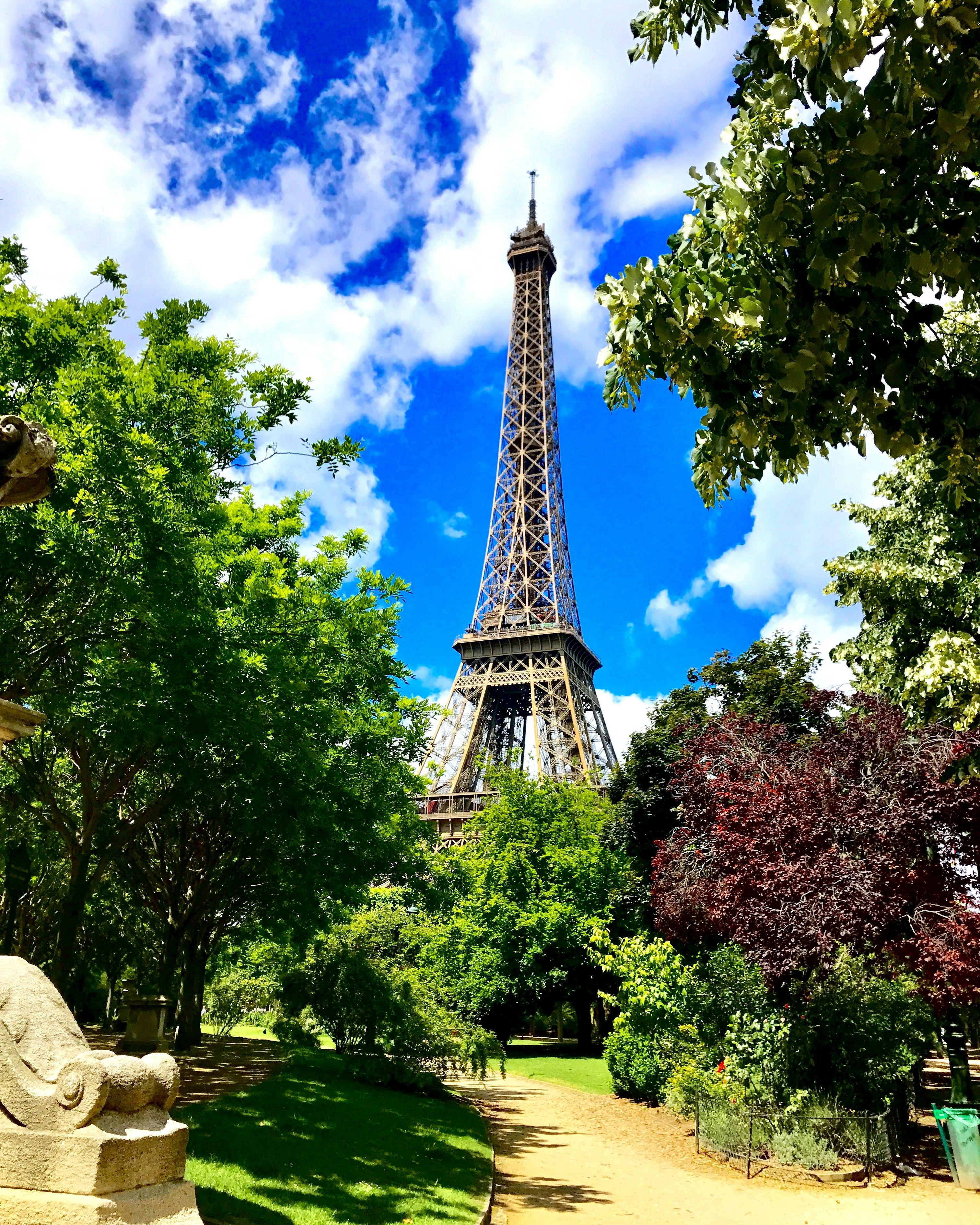 Eiffel Tower in a Sunlit Parisian Park: Lattice Amid Green Canopy