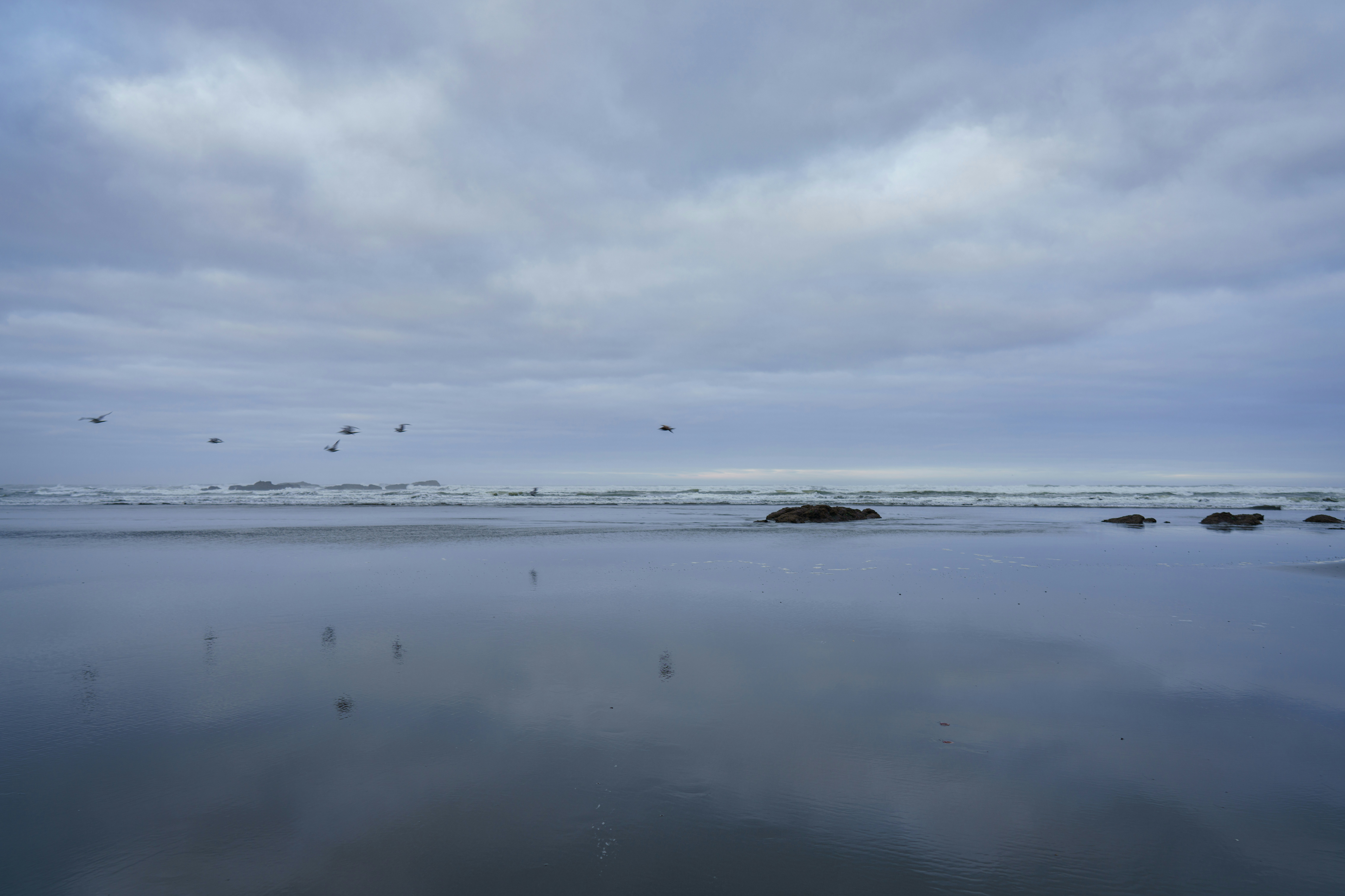 Gentle waves lapping at the shore under a moody sky, with distant birds gliding above. The reflective surface of the water enhances the serene atmosphere.