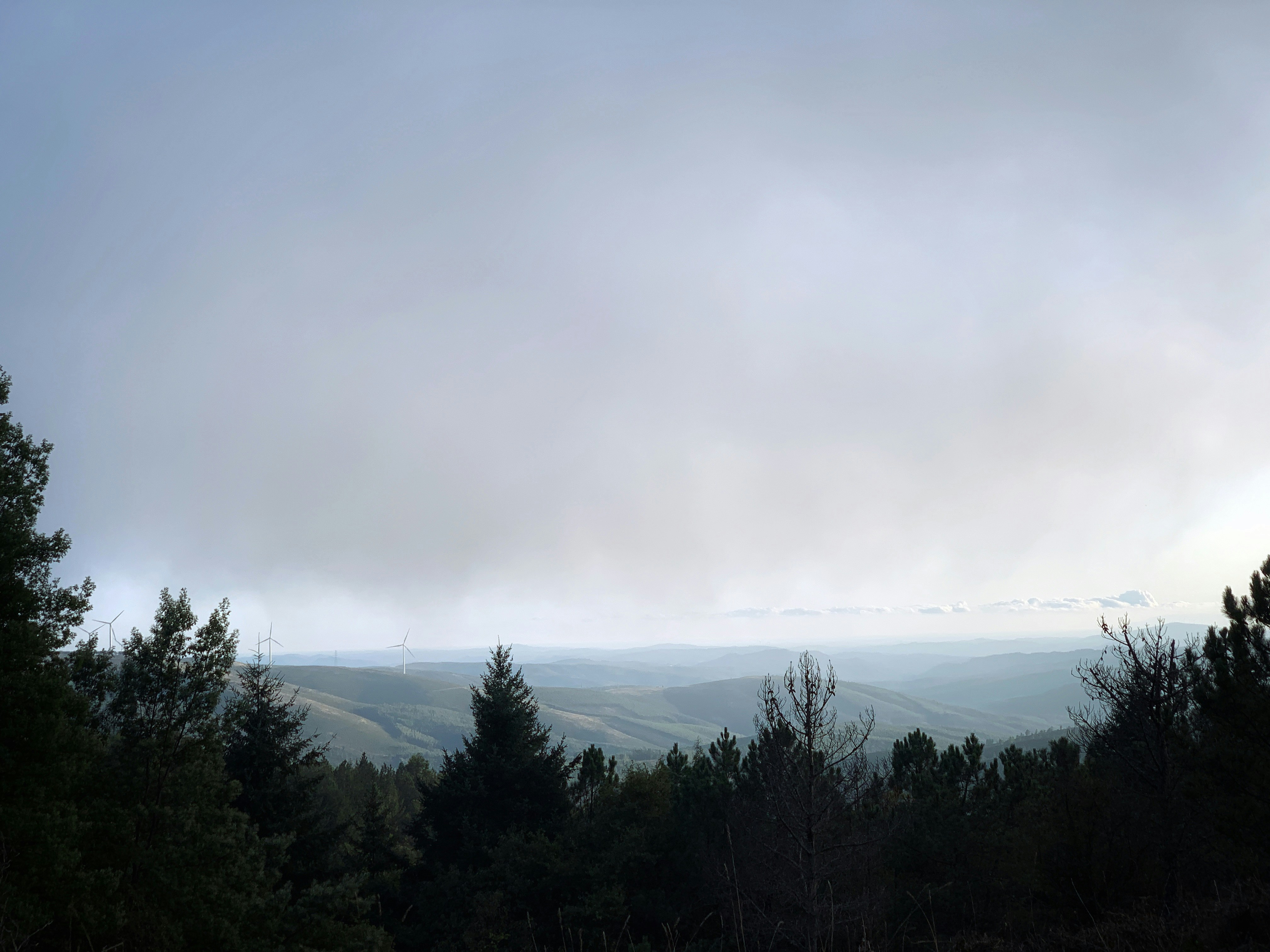Overcast sky above a forested landscape with distant rolling hills.