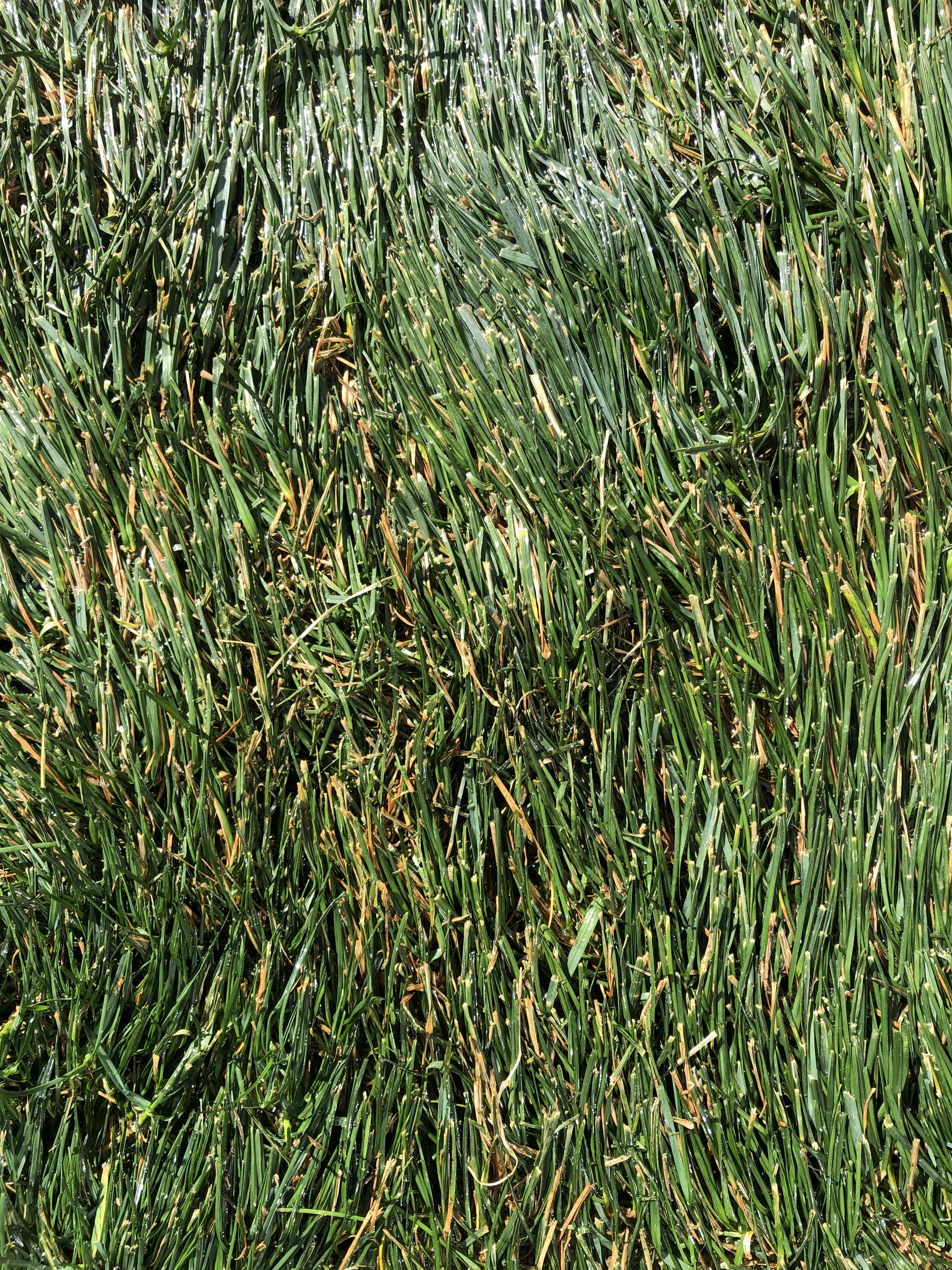 cody weiss (@boxsquare) | Unsplashフォトコミュニティ