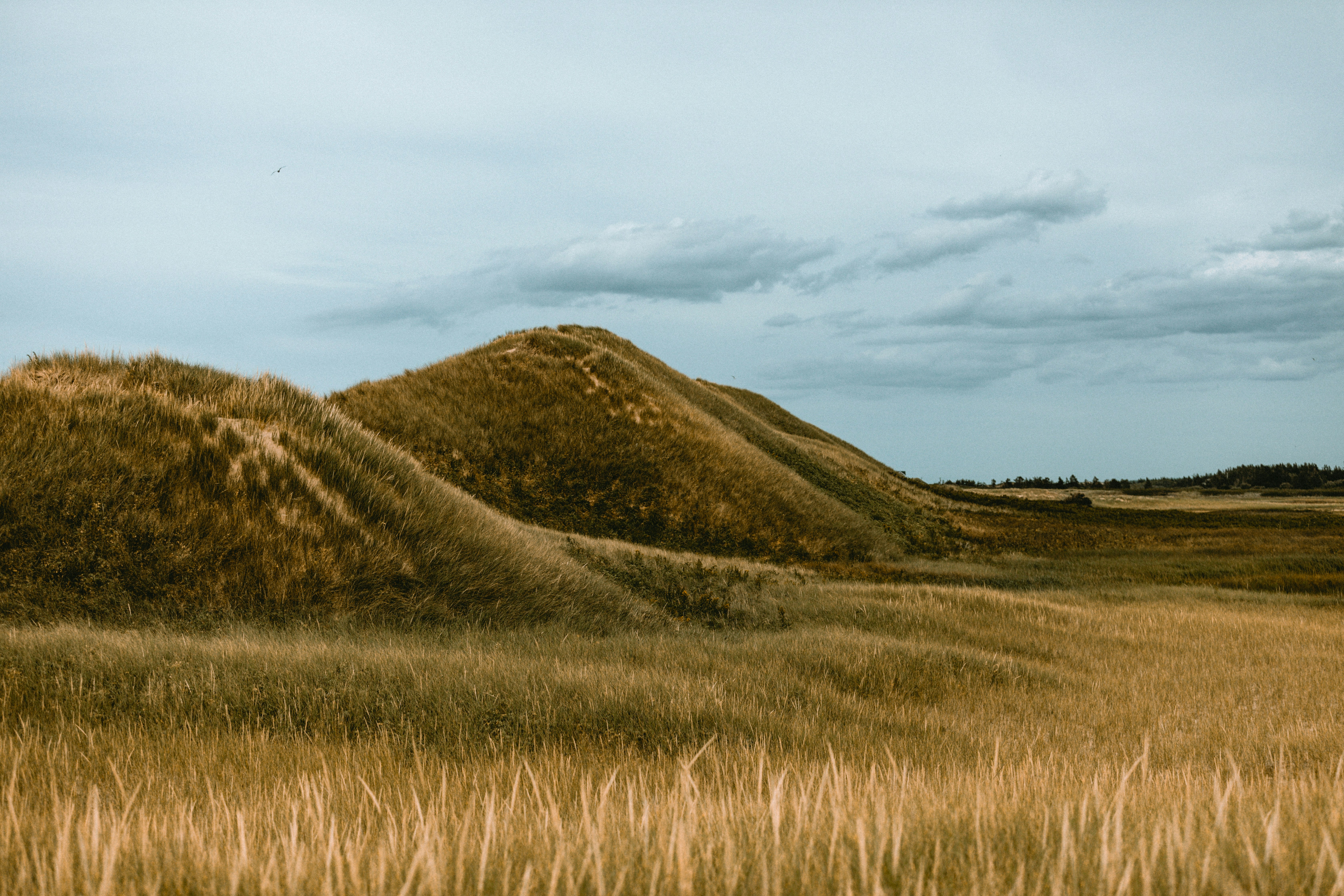 Gentle, grassy mounds rise from a golden prairie, set against a backdrop of a moody sky. The scene evokes a sense of tranquility and connection to nature.