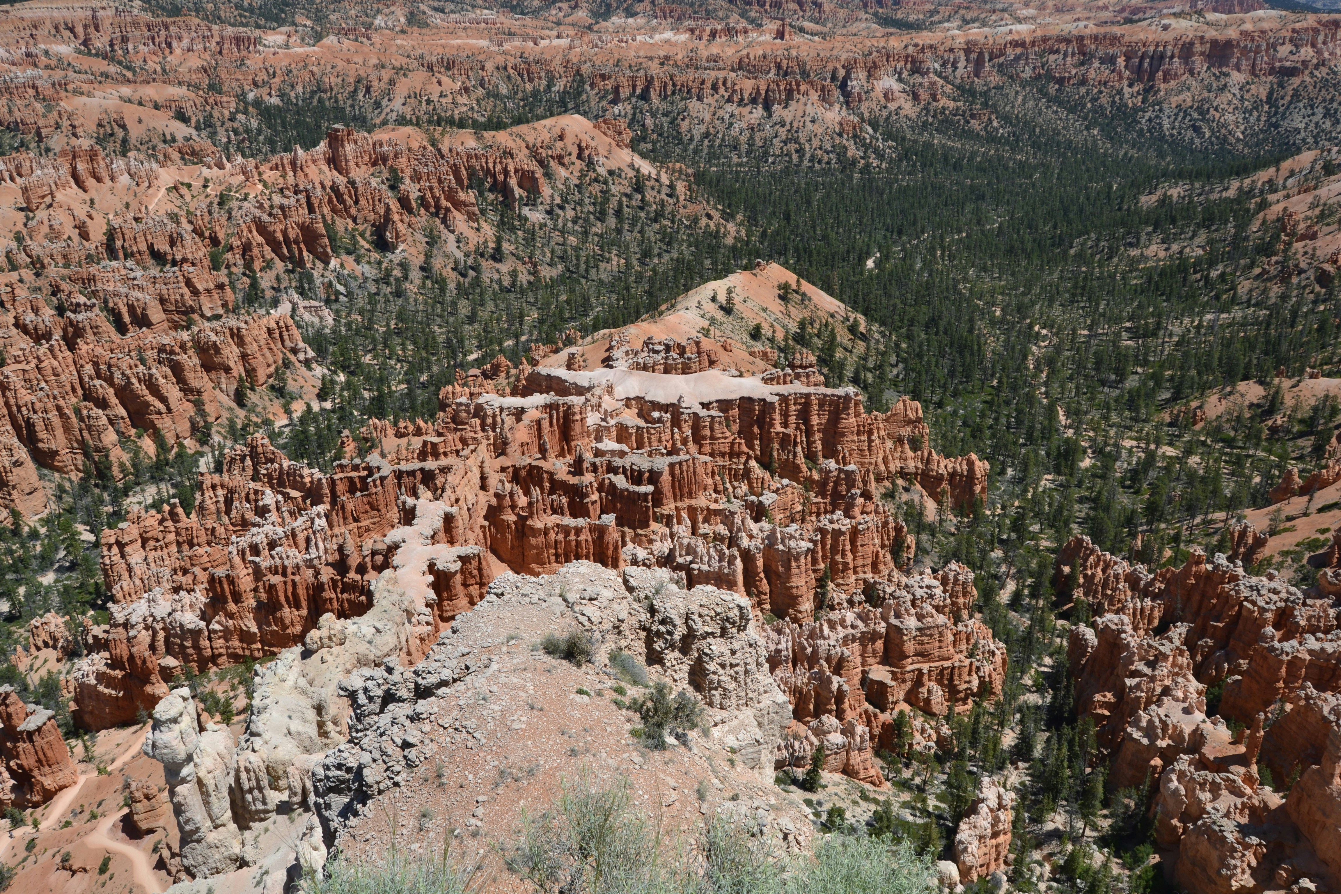Vast landscape of red rock formations and pine forests, showcasing the unique geological features of a national park. The scene highlights the interplay of colors and textures in the rugged terrain.