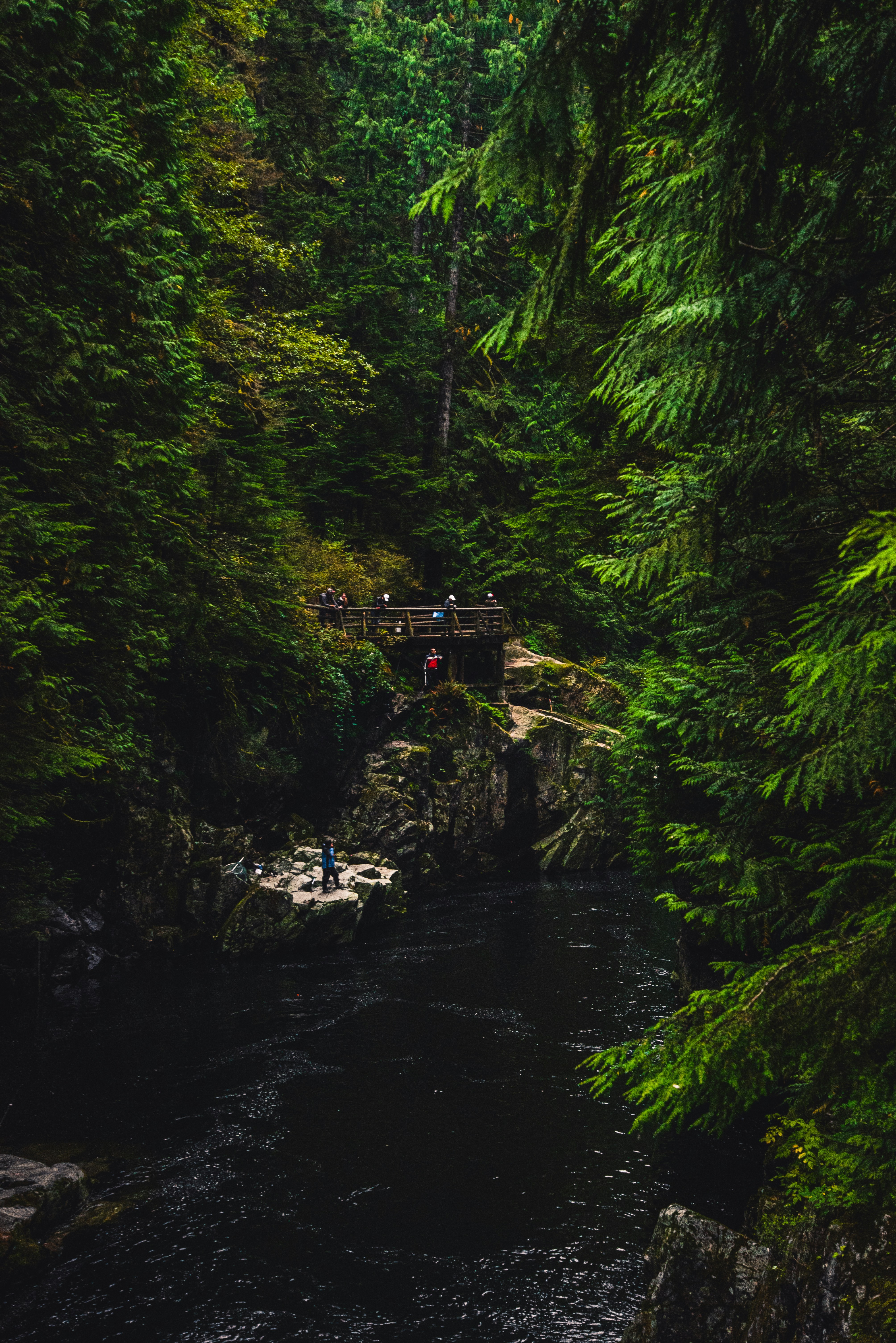 A tranquil river flows through a lush green forest, with a wooden bridge and people observing the scenery. The vibrant foliage frames the scene beautifully.