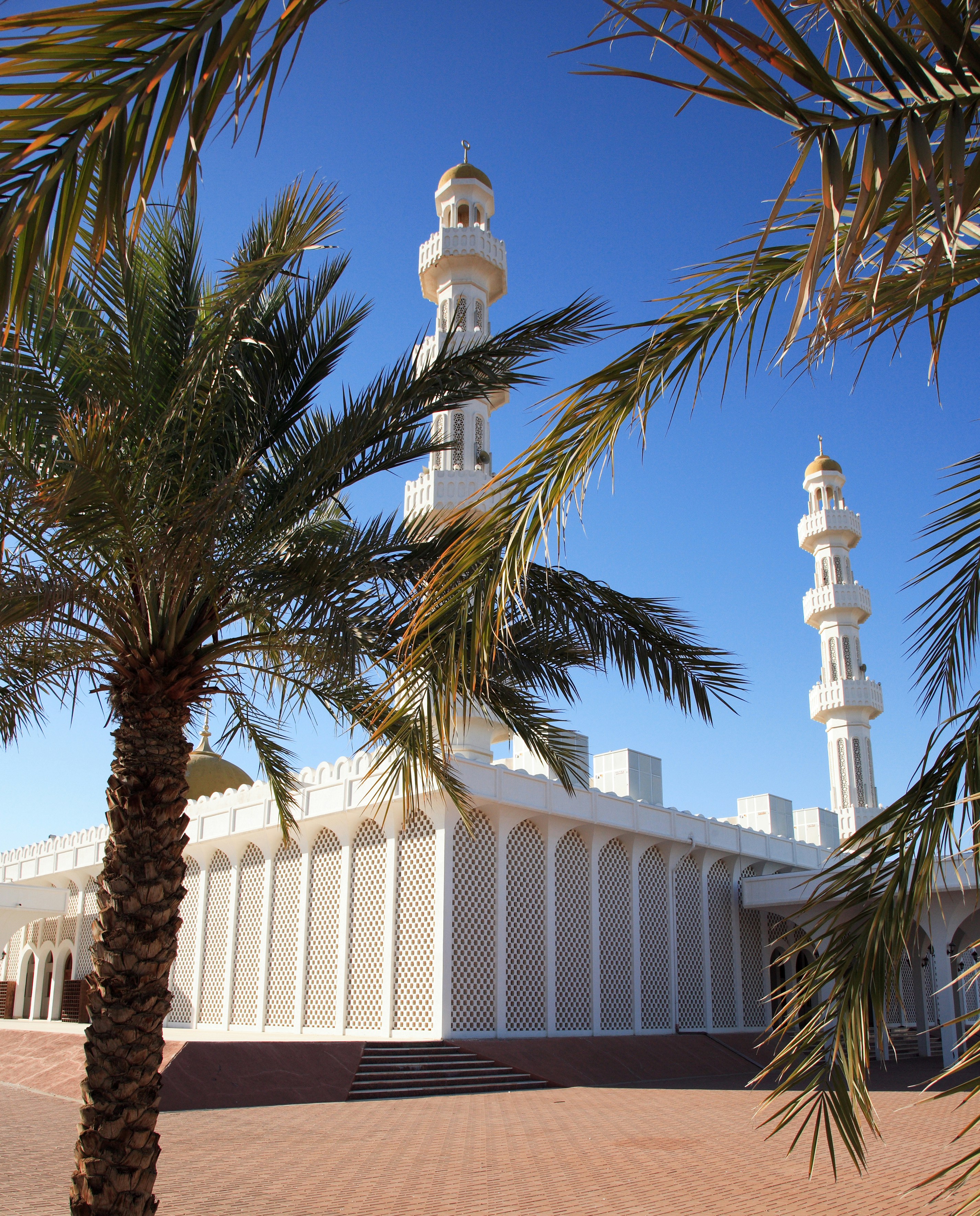 Palm-Framed Twin Minarets Reach Toward a Cobalt Sky