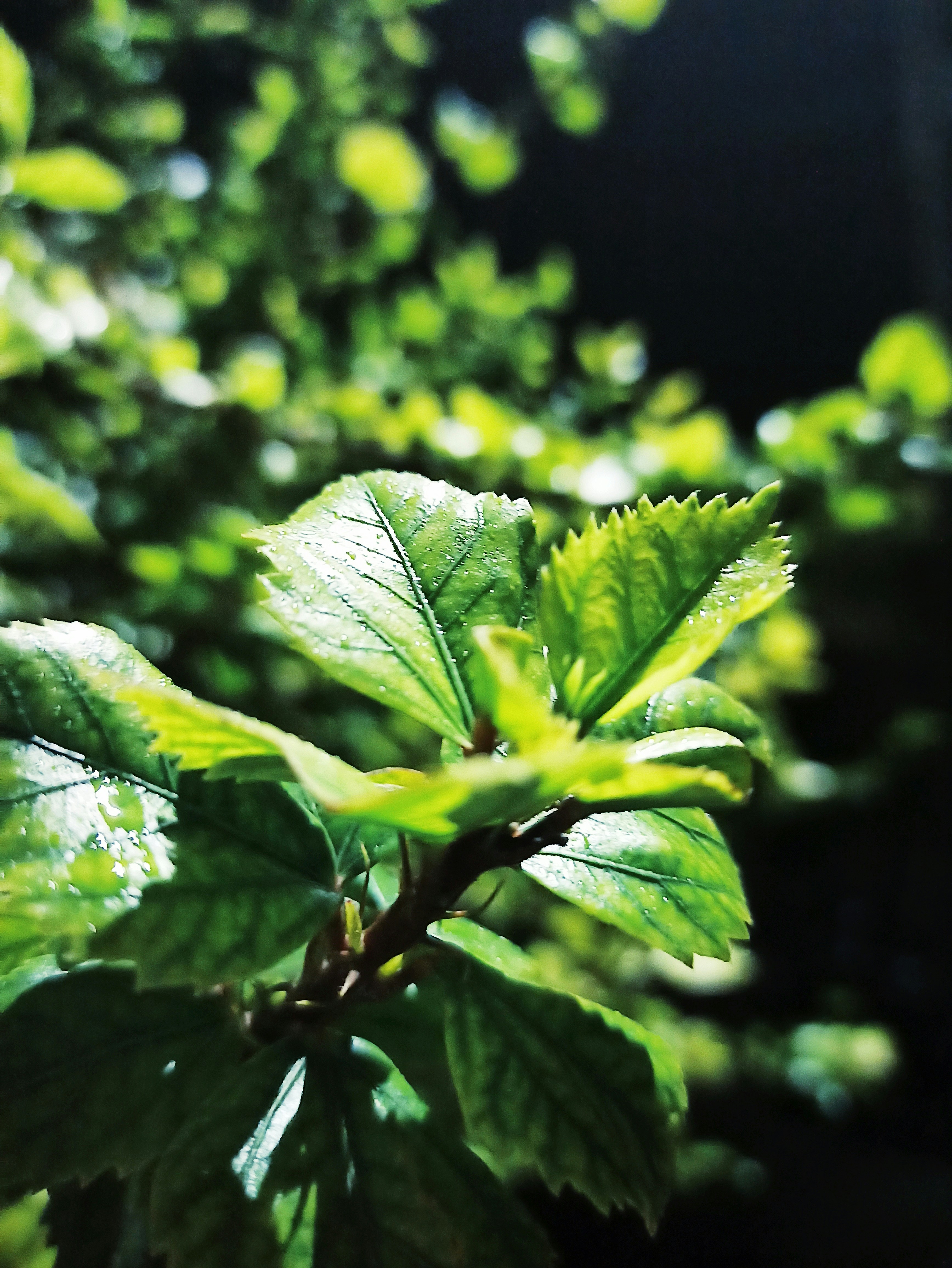 1K+ Beautiful Earth Pictures | Download Free Images on Unsplash