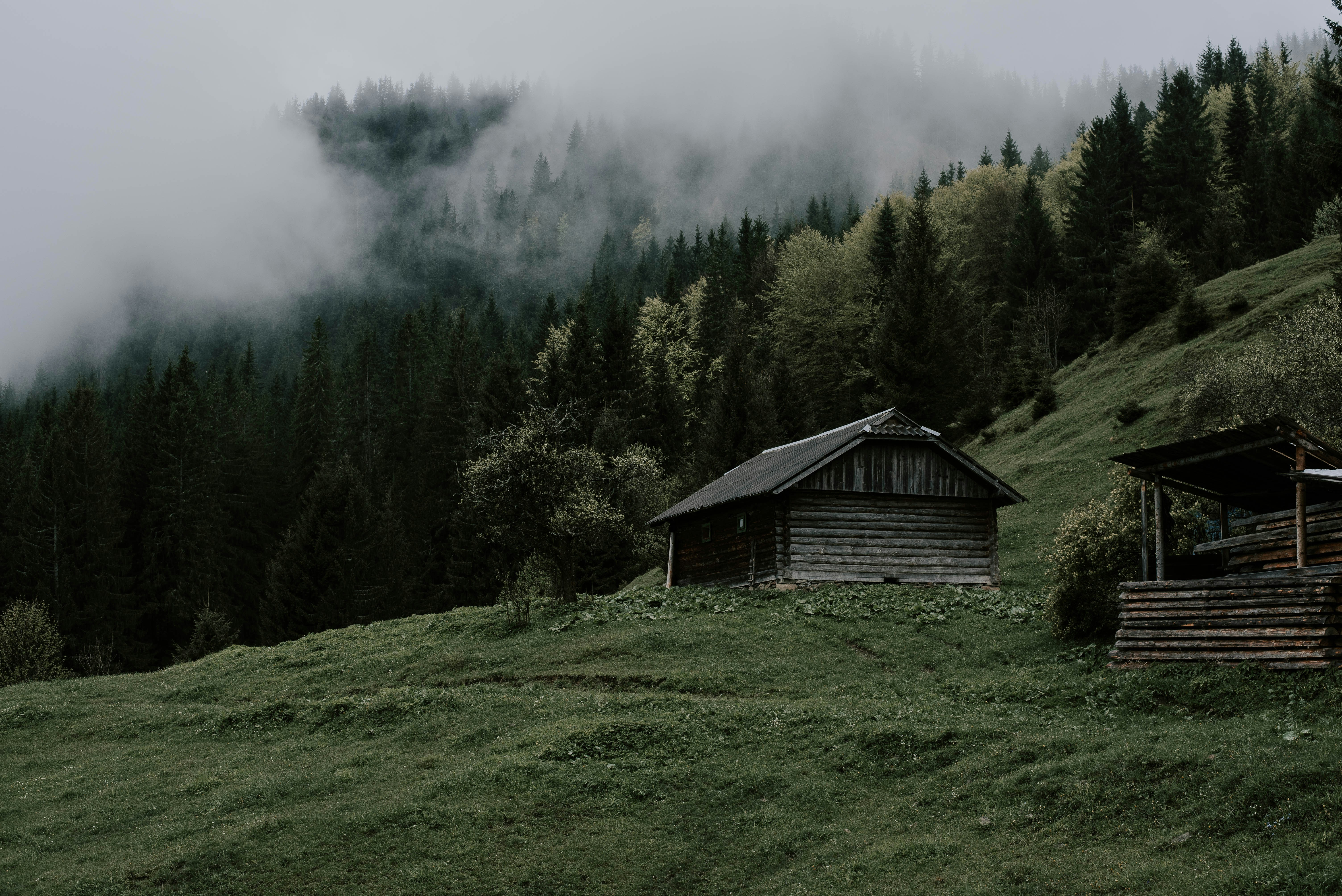 A rustic wooden cabin nestled in a lush green landscape, surrounded by towering trees and enveloped in mist. The tranquil scene captures the essence of nature's serenity.