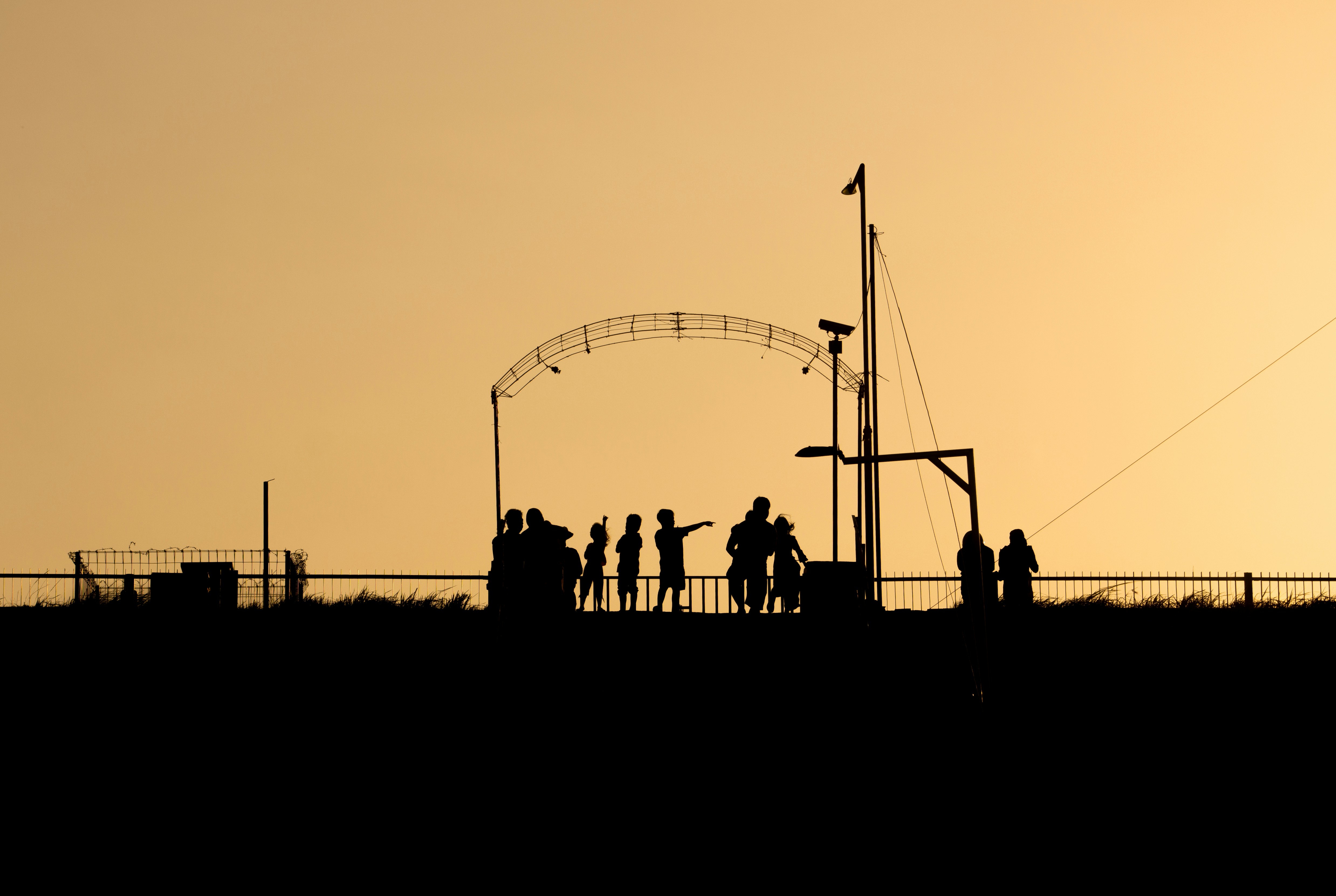 Vector Images Pictures | Download Free Images on Unsplash