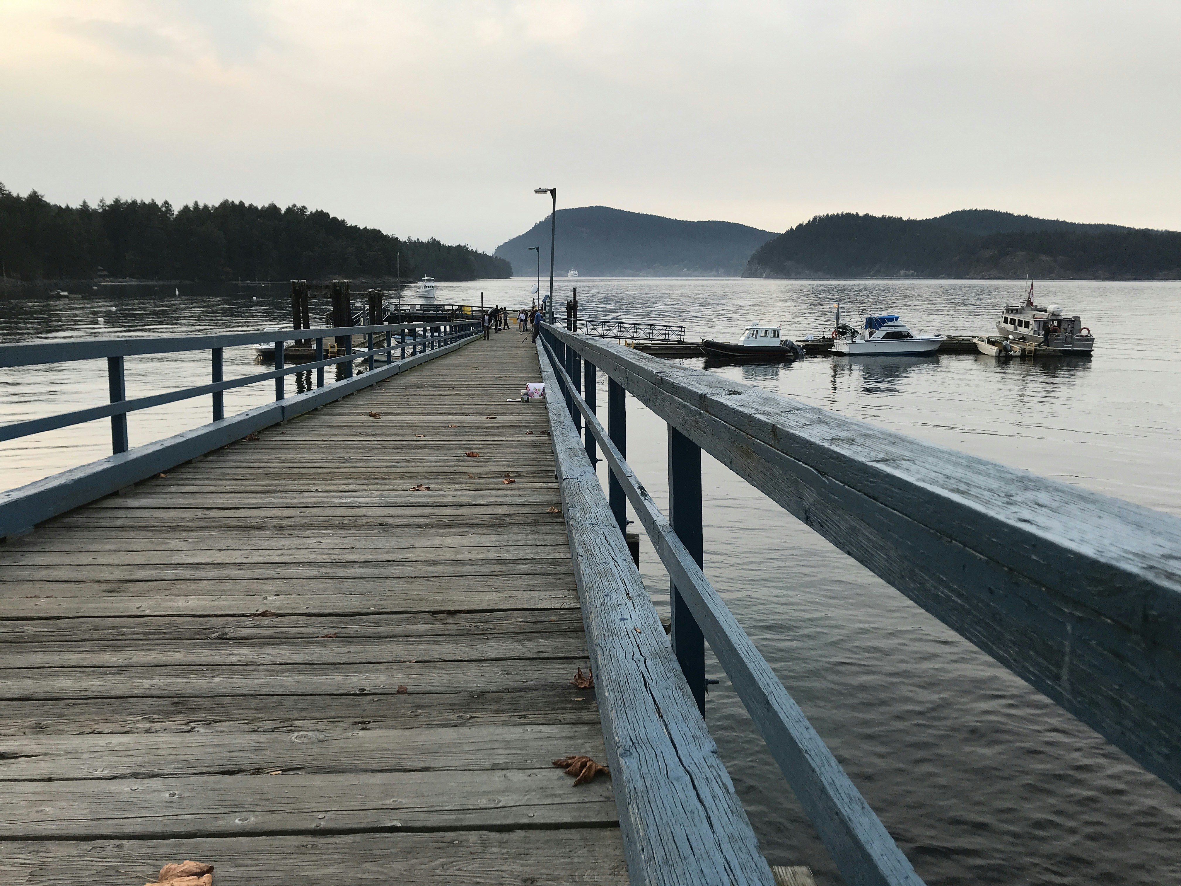 Brown wooden dock on body of water during daytime photo – Free Grey ...