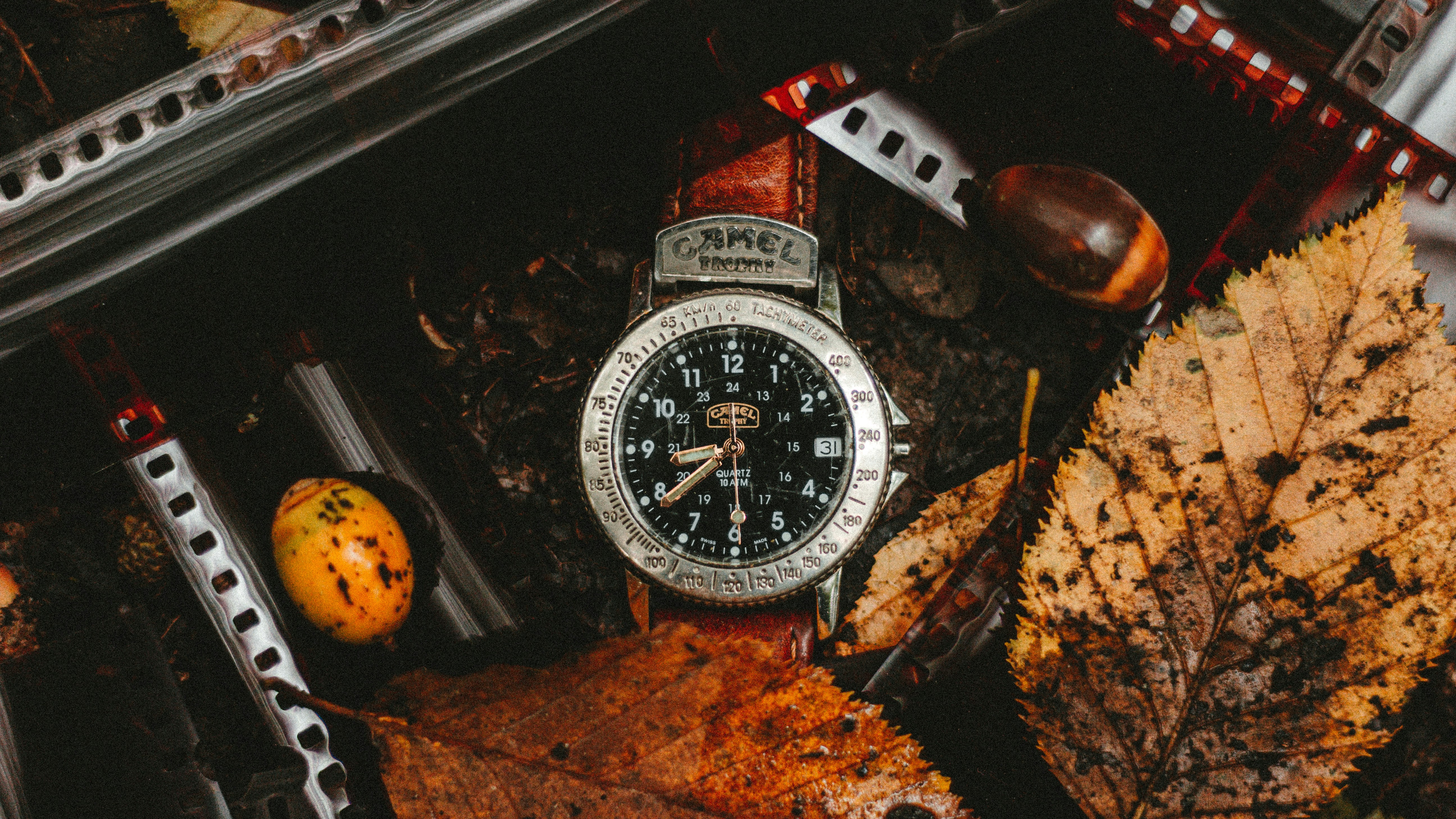 Nocturne of Time: A Weathered Watch Among Autumn Remnants